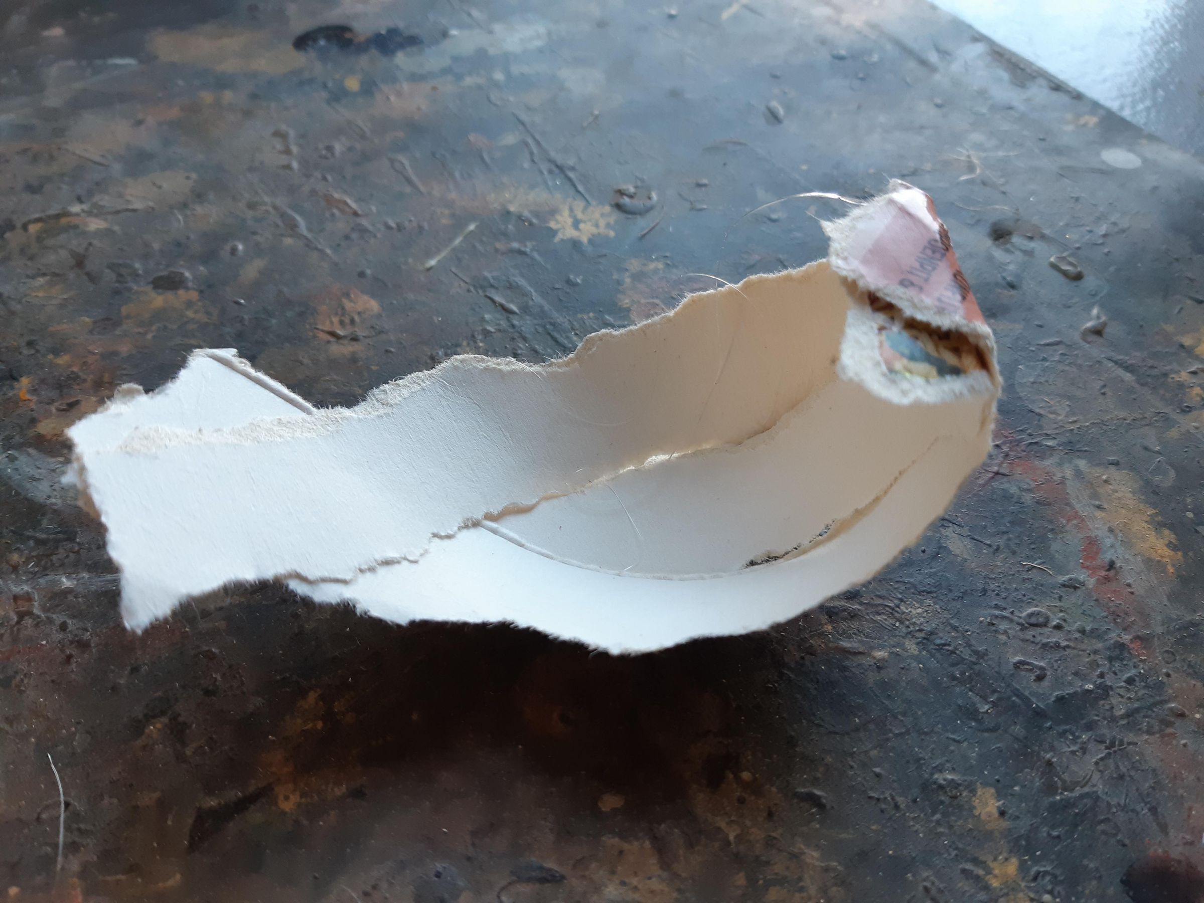 Bird Out of the Box : 10 Steps (with Pictures) - Instructables