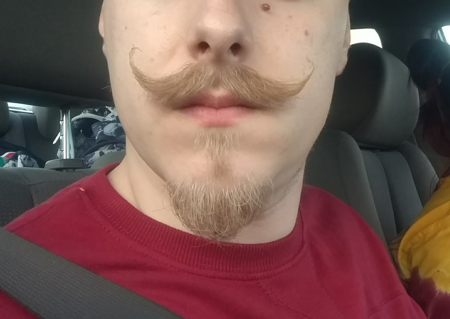 6 Month! Blonde Mustache Handlebar : 6 Steps - Instructables