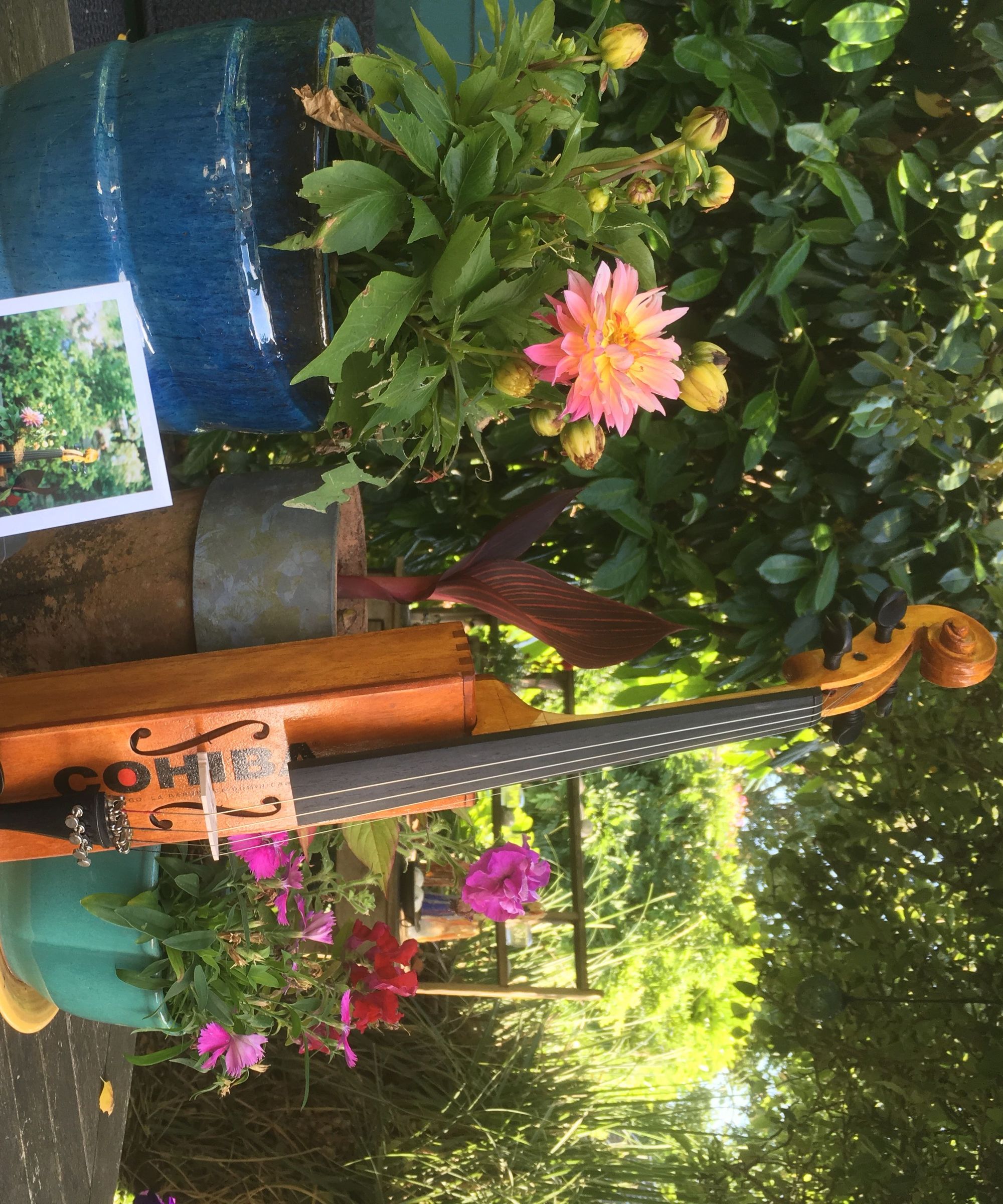 Cigar Box Fiddle / Violin : 8 Steps (with Pictures) - Instructables