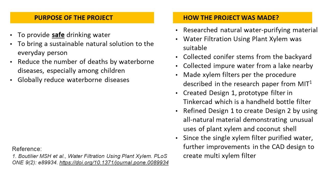 Unusual Use of Plant Xylem & Coconut Shell to Make Water Filter : 11 ...