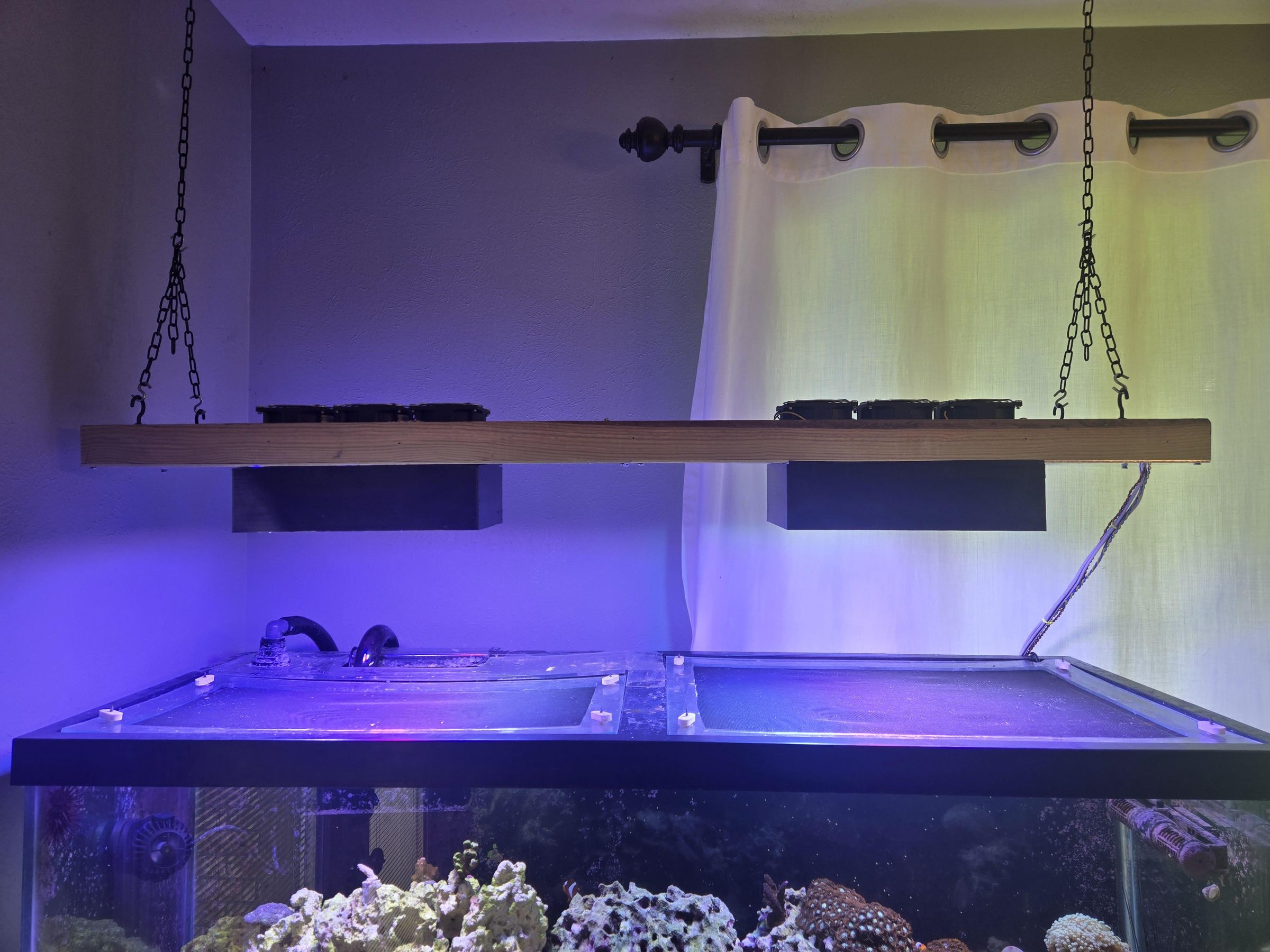 Fish Tank Lighting Ideas
