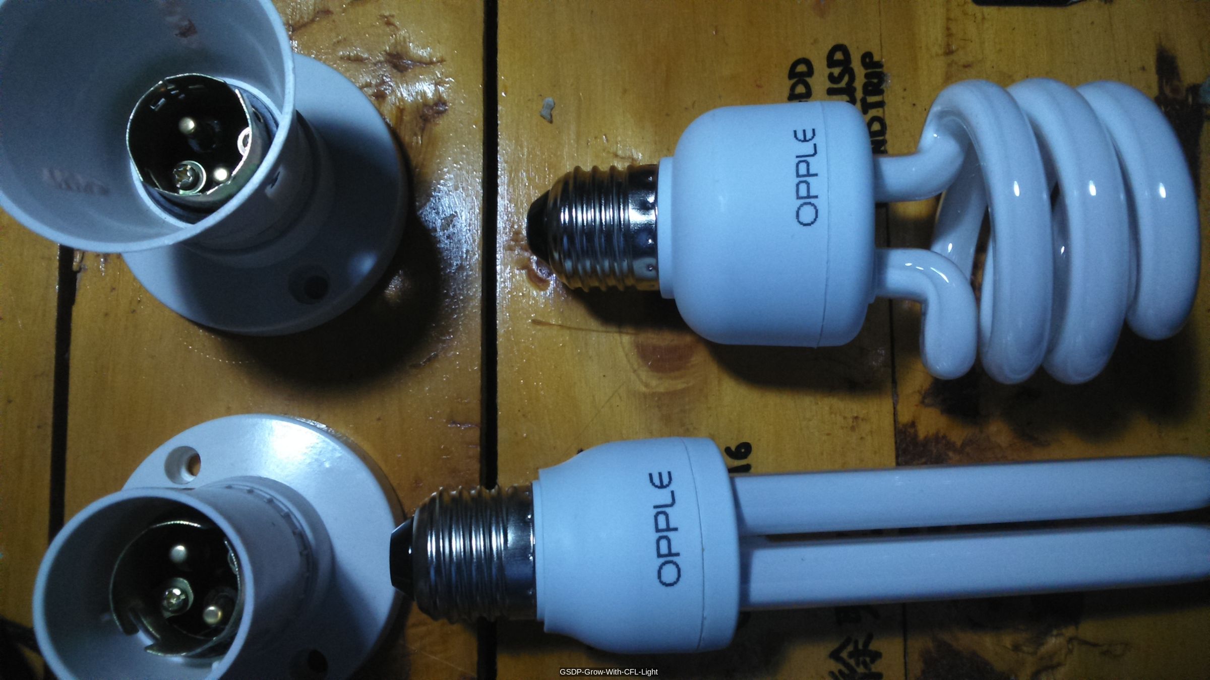 Grow With CFL Light Experiment : 3 Steps - Instructables