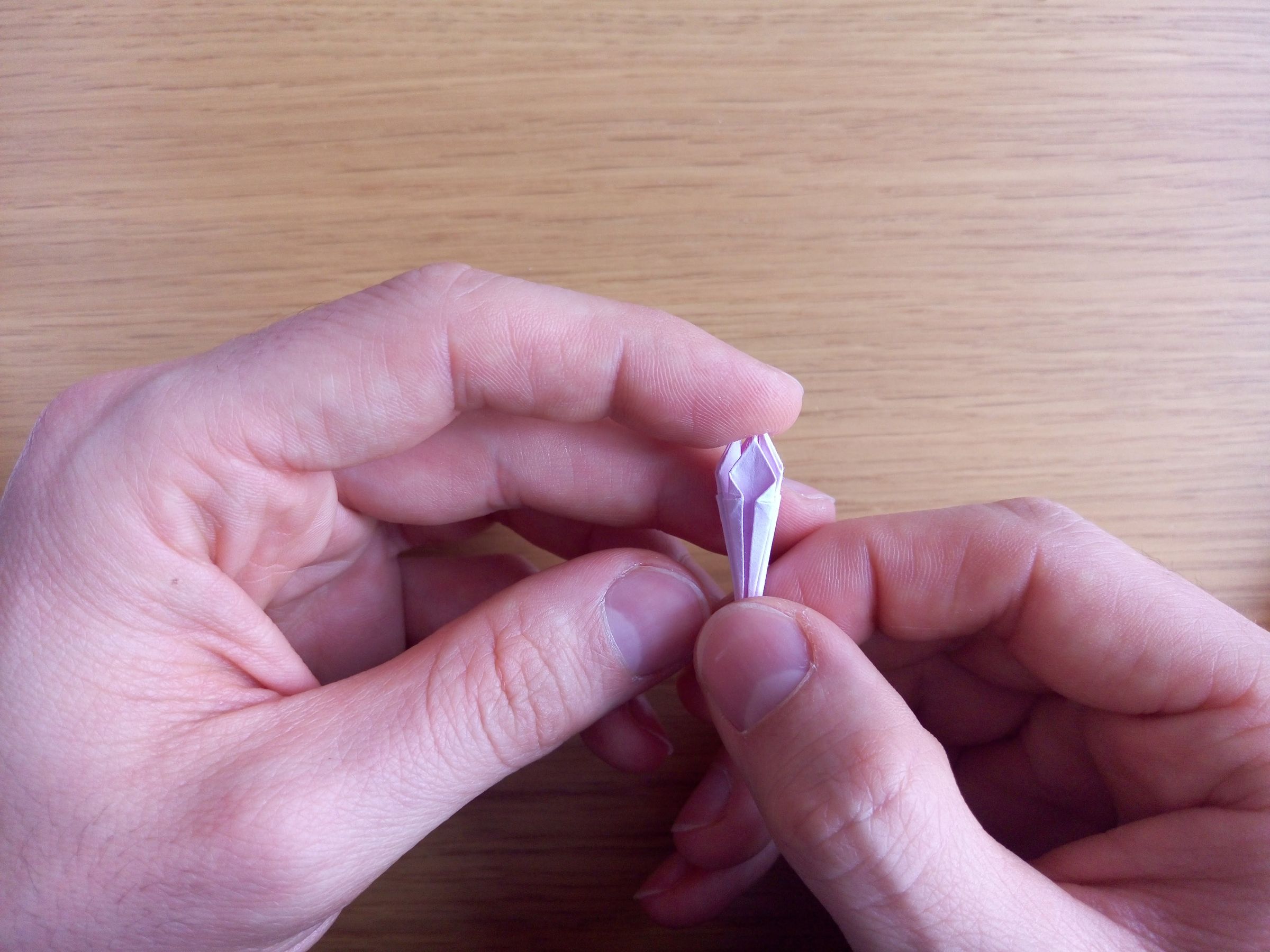Origami Hyacinth : 9 Steps (with Pictures) - Instructables