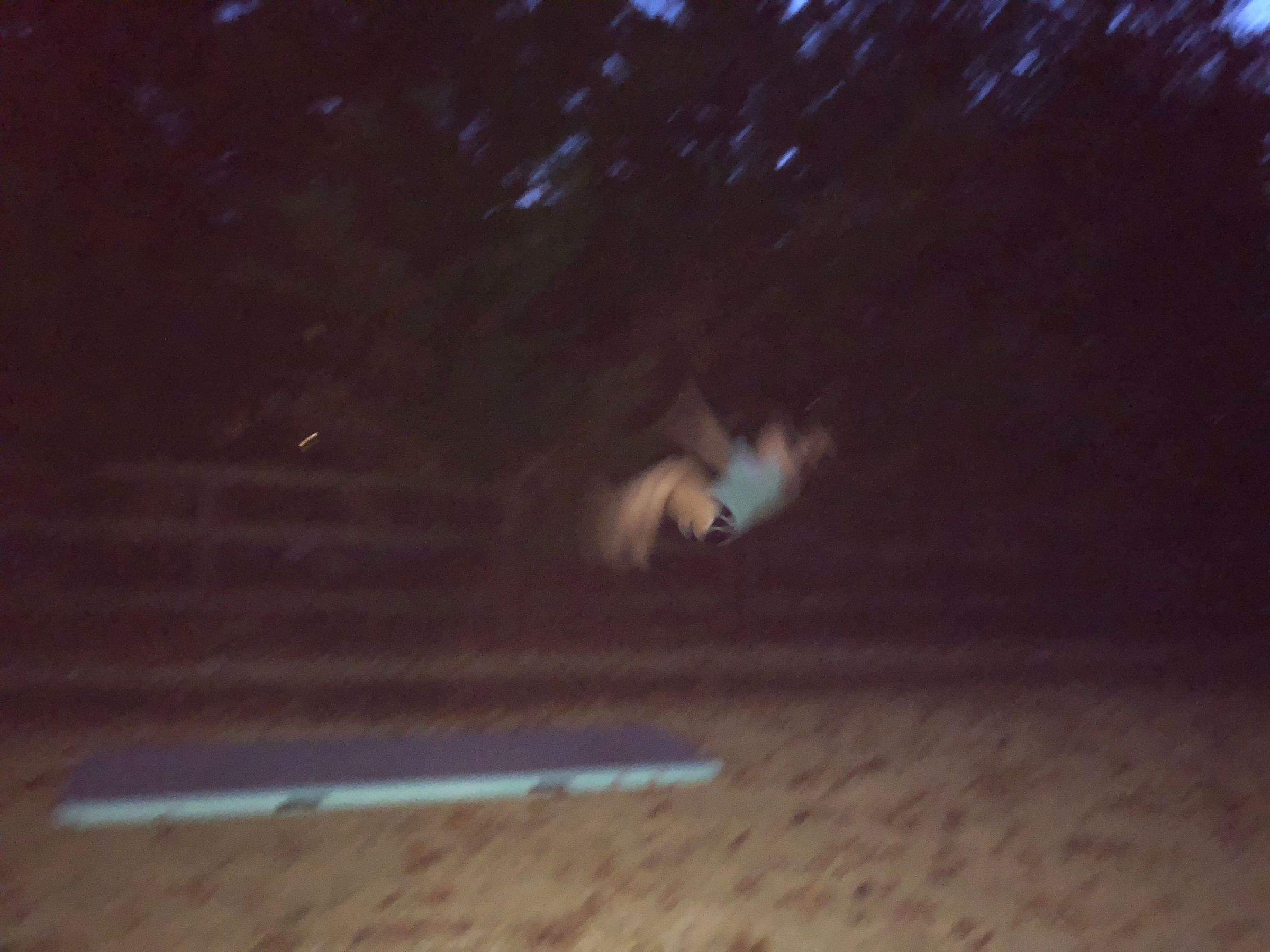 How to Do a Back Tuck : 10 Steps - Instructables