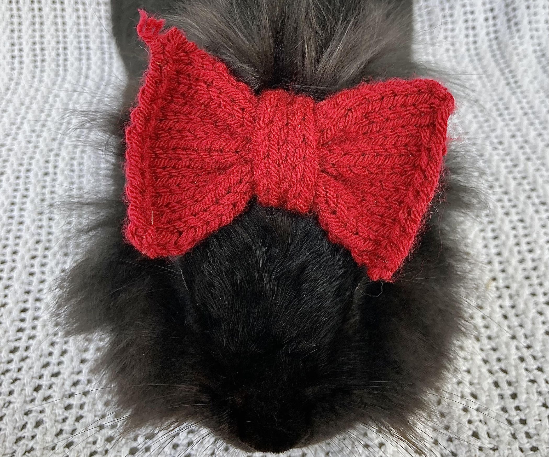 A Basic Guide to Bunny Hats : 5 Steps (with Pictures) - Instructables