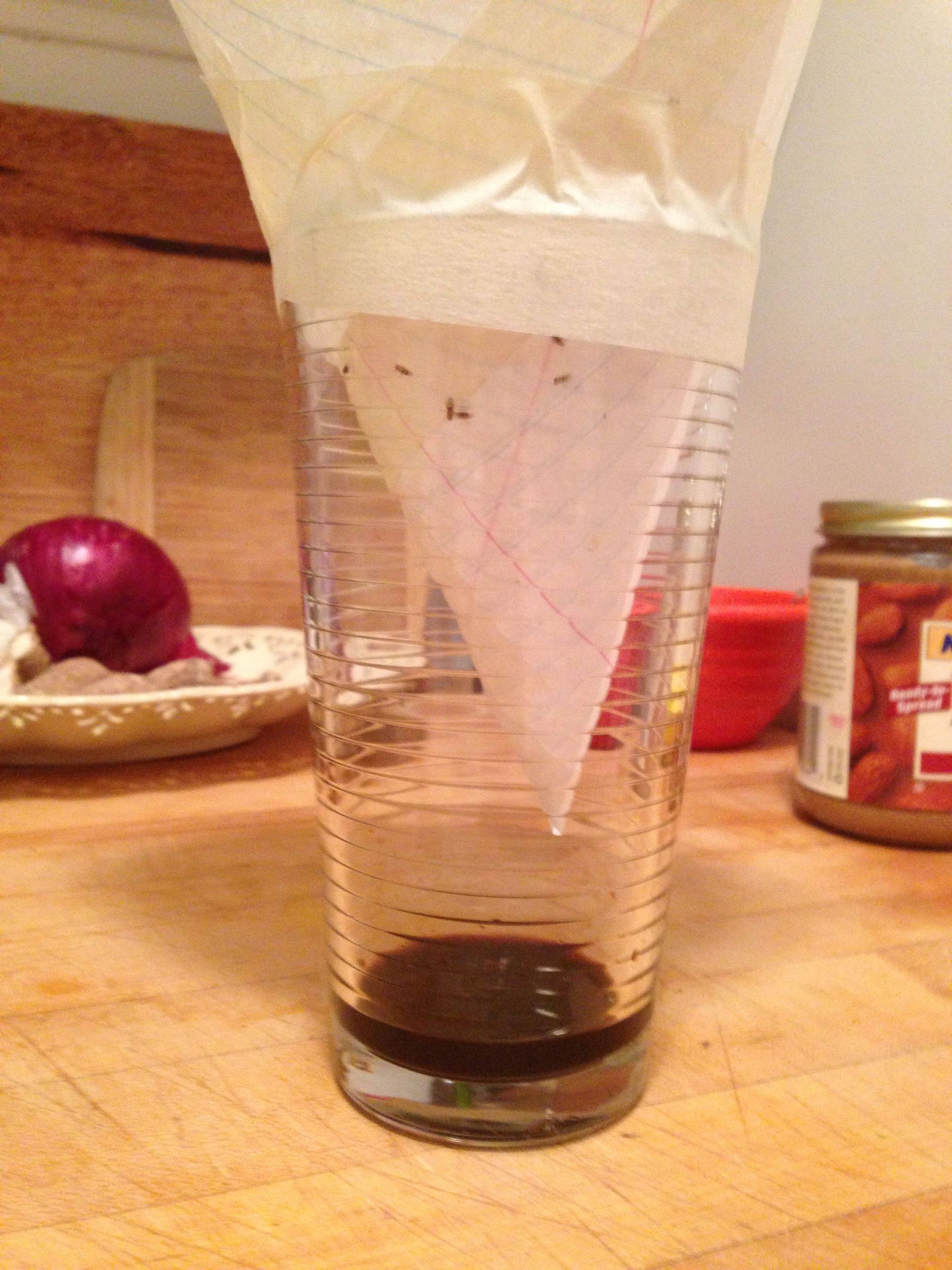Easy Kitchen Gnat Trap : 5 Steps - Instructables