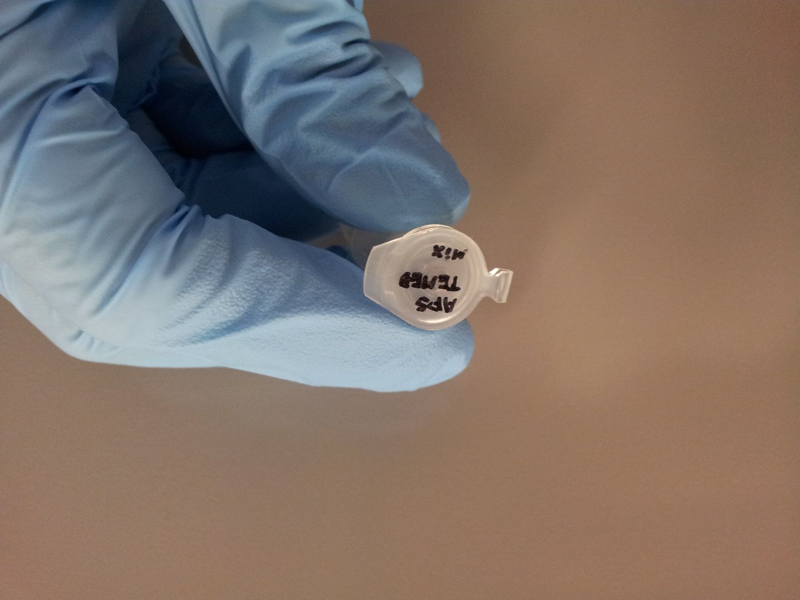 Evaluation for an APS/TEMED Aliquot in the SDS-PA Gel Protocol : 8 ...