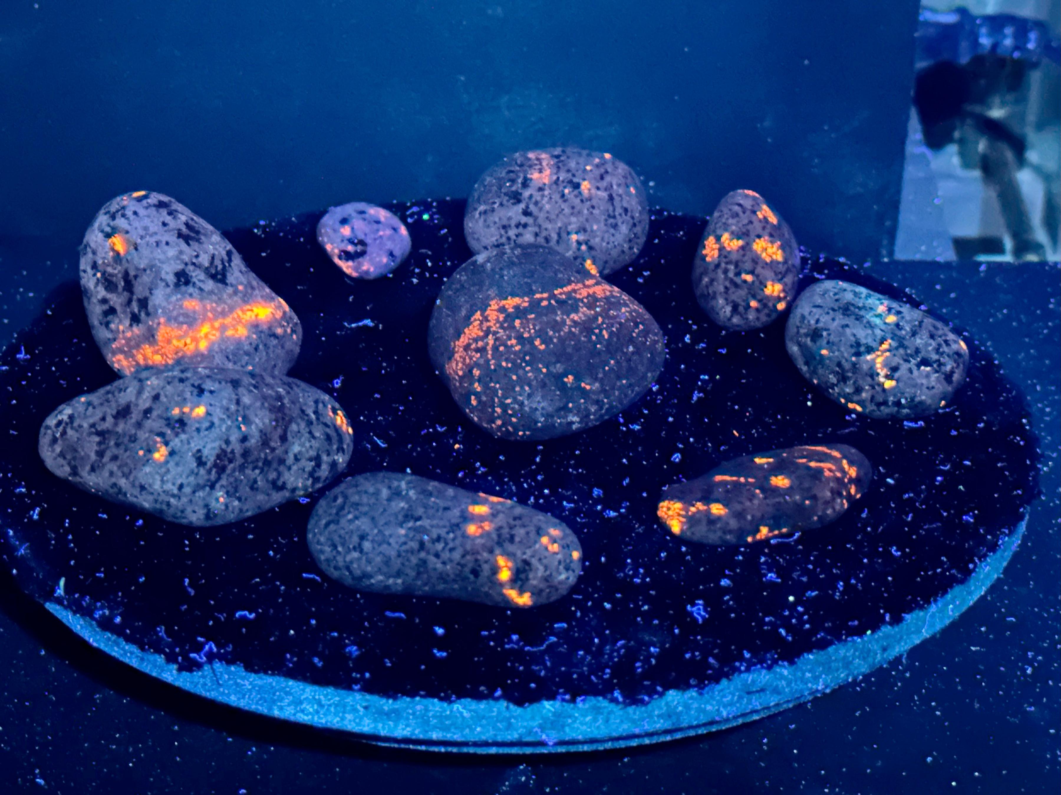 Build a Simple UV Photography Box : 25 Steps (with Pictures ...