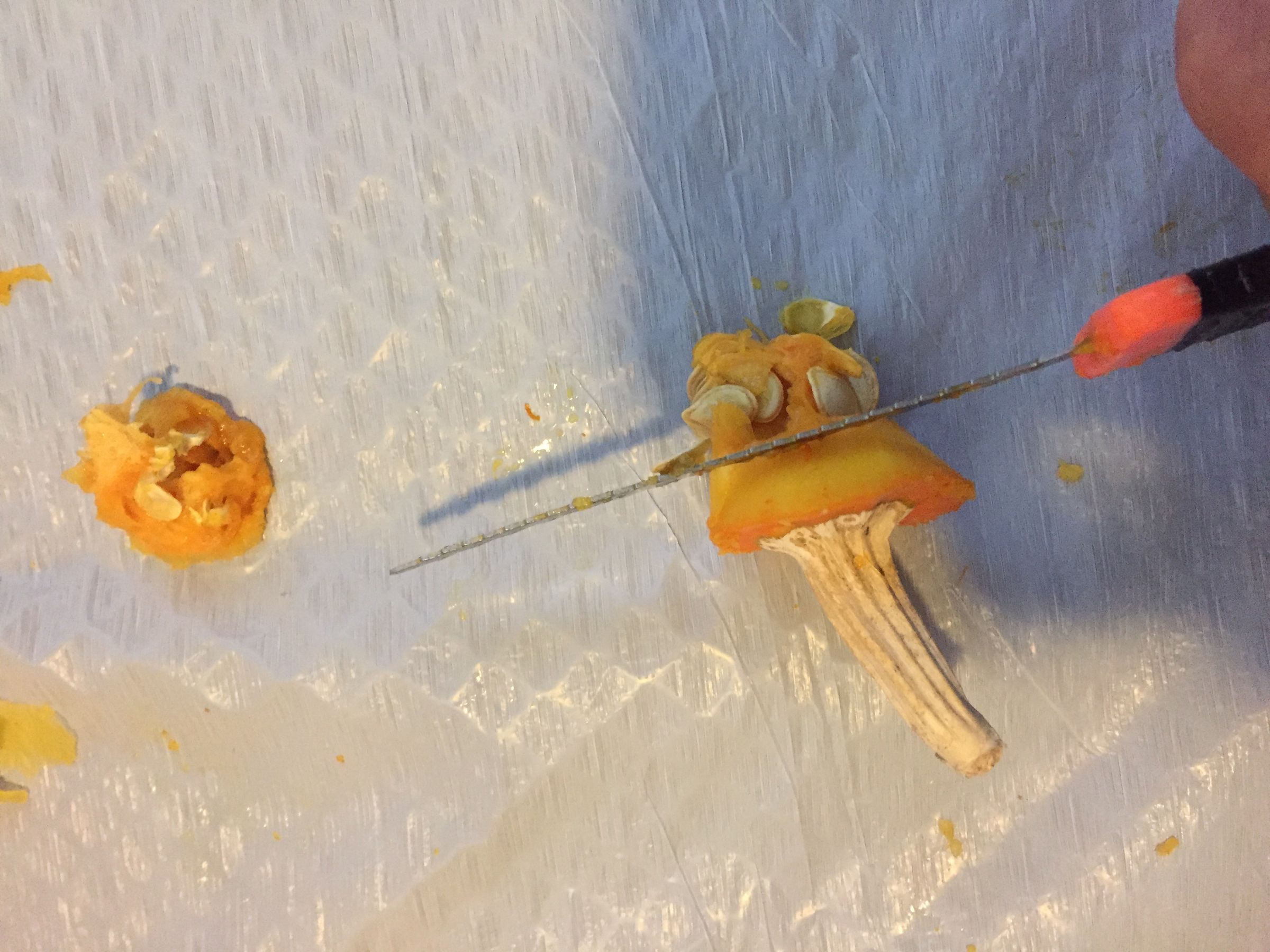 The Cannibalistic Pumpkin : 6 Steps (with Pictures) - Instructables