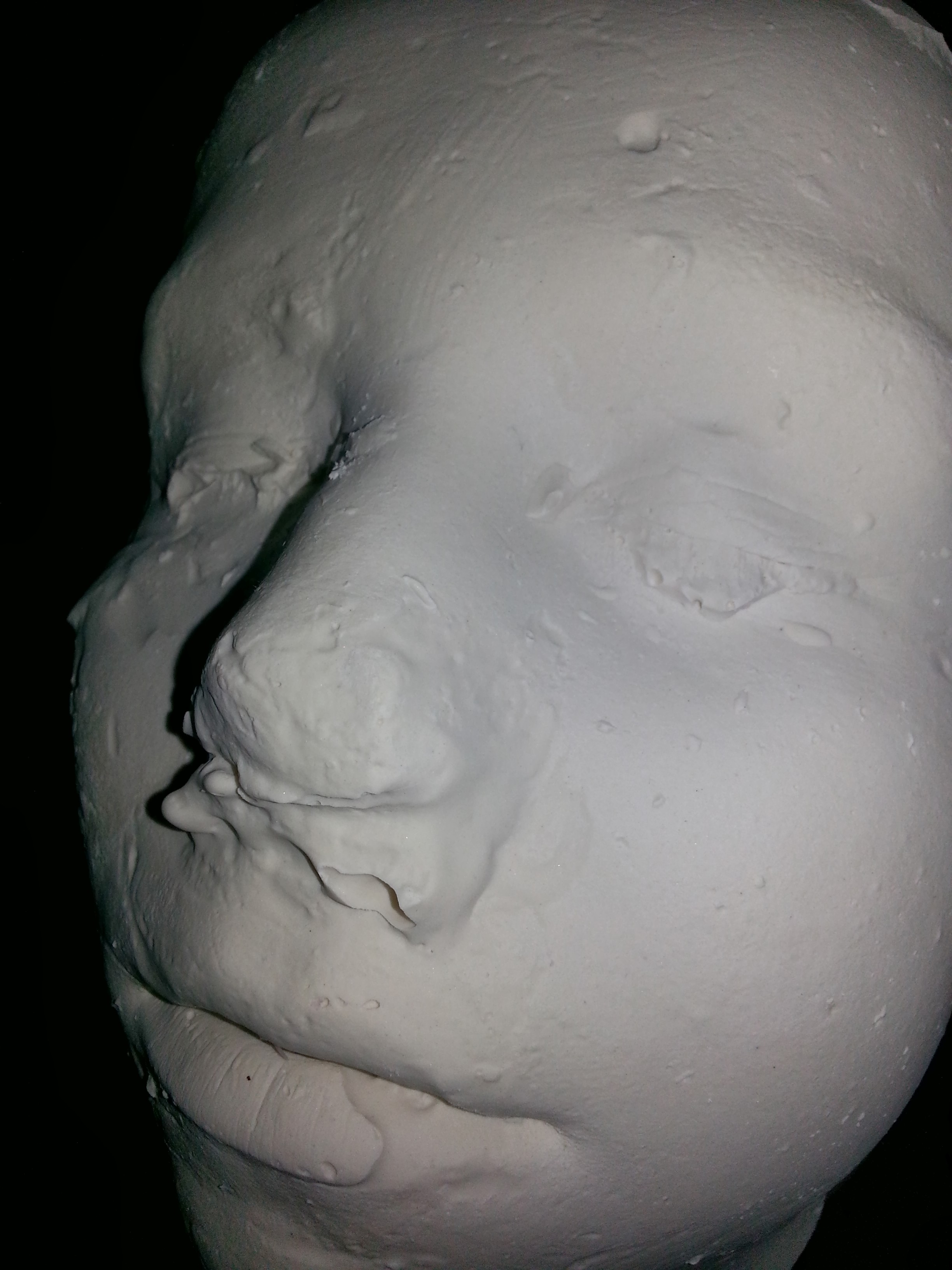 Silicon Mask Making : 7 Steps - Instructables