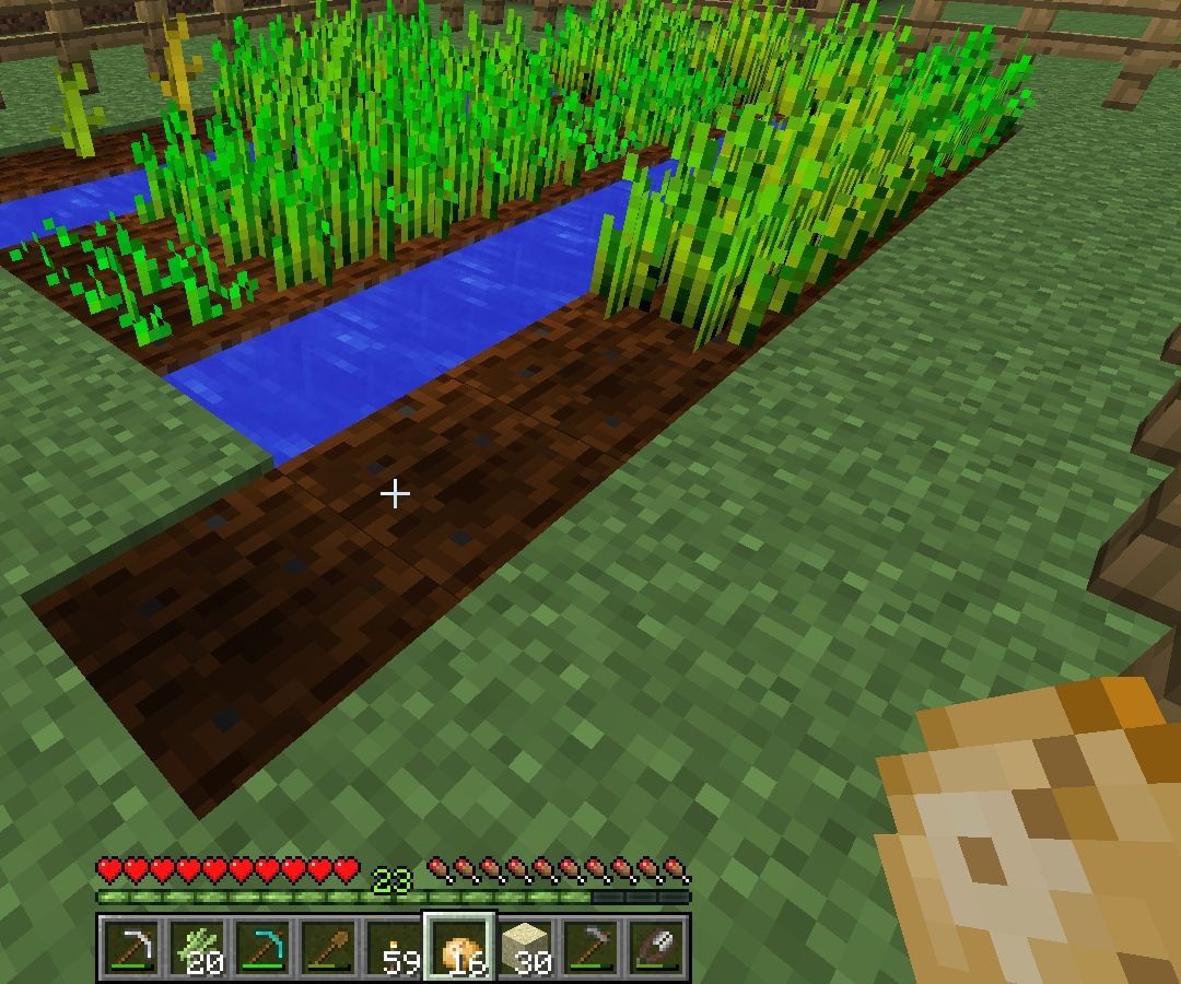 Farming in Minecraft : 10 Steps (with Pictures) - Instructables