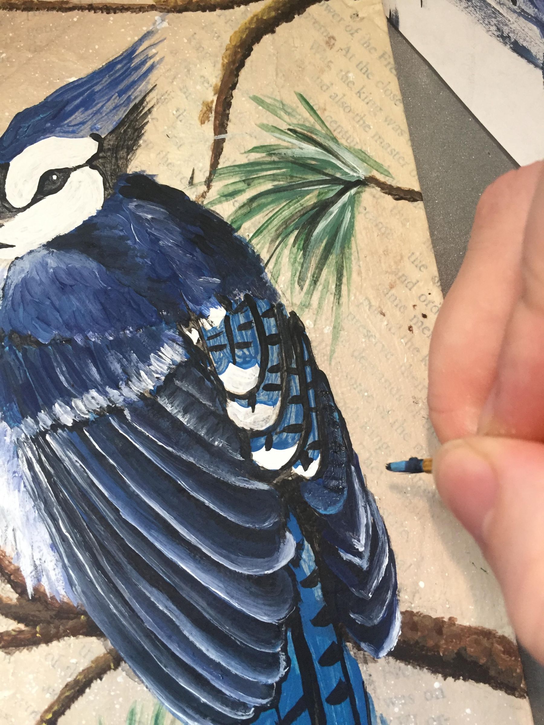 How to Paint a Blue Jay on a Branch. : 13 Steps (with Pictures ...