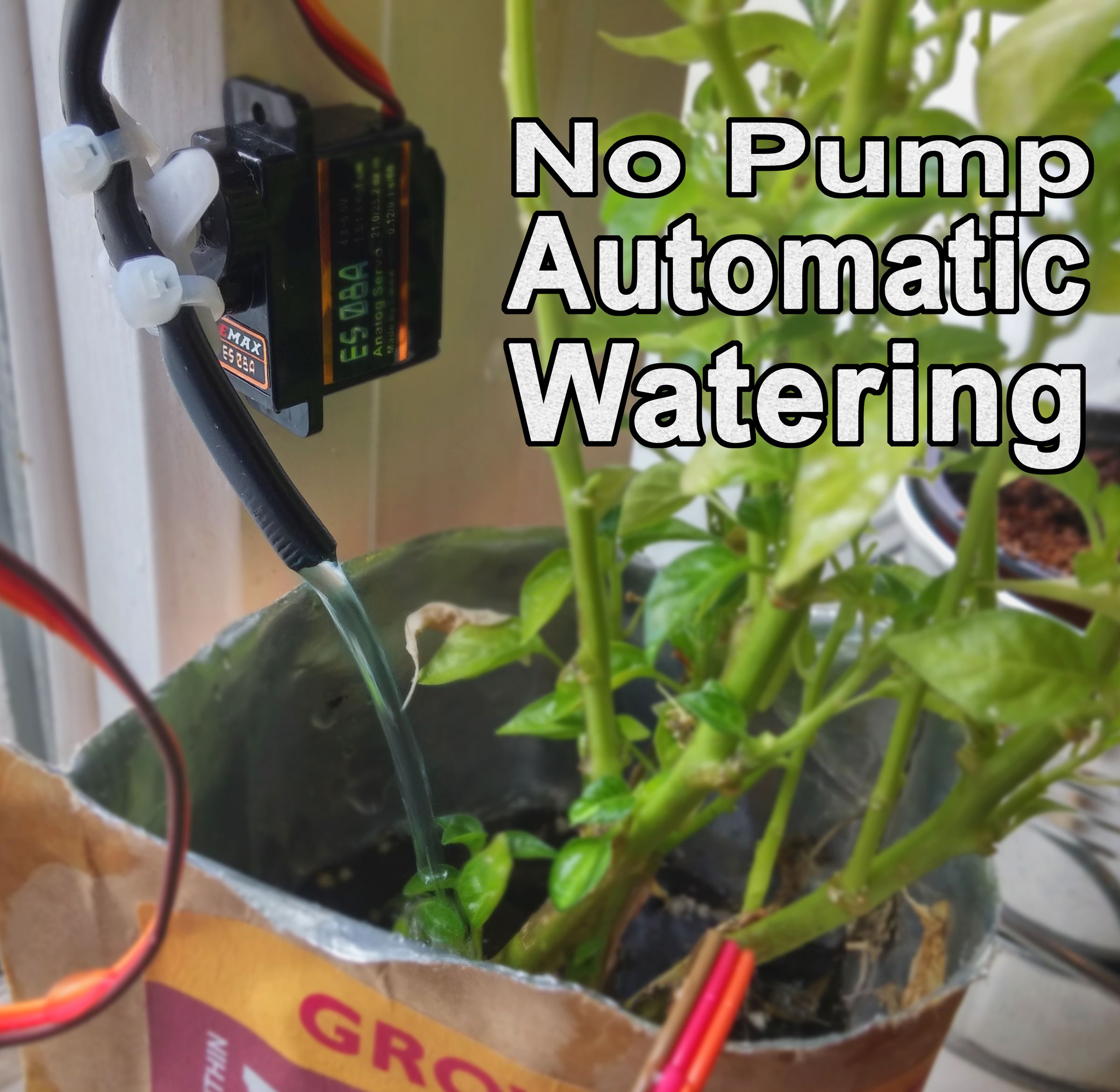 No Pump Automatic Watering! : 7 Steps (with Pictures) - Instructables