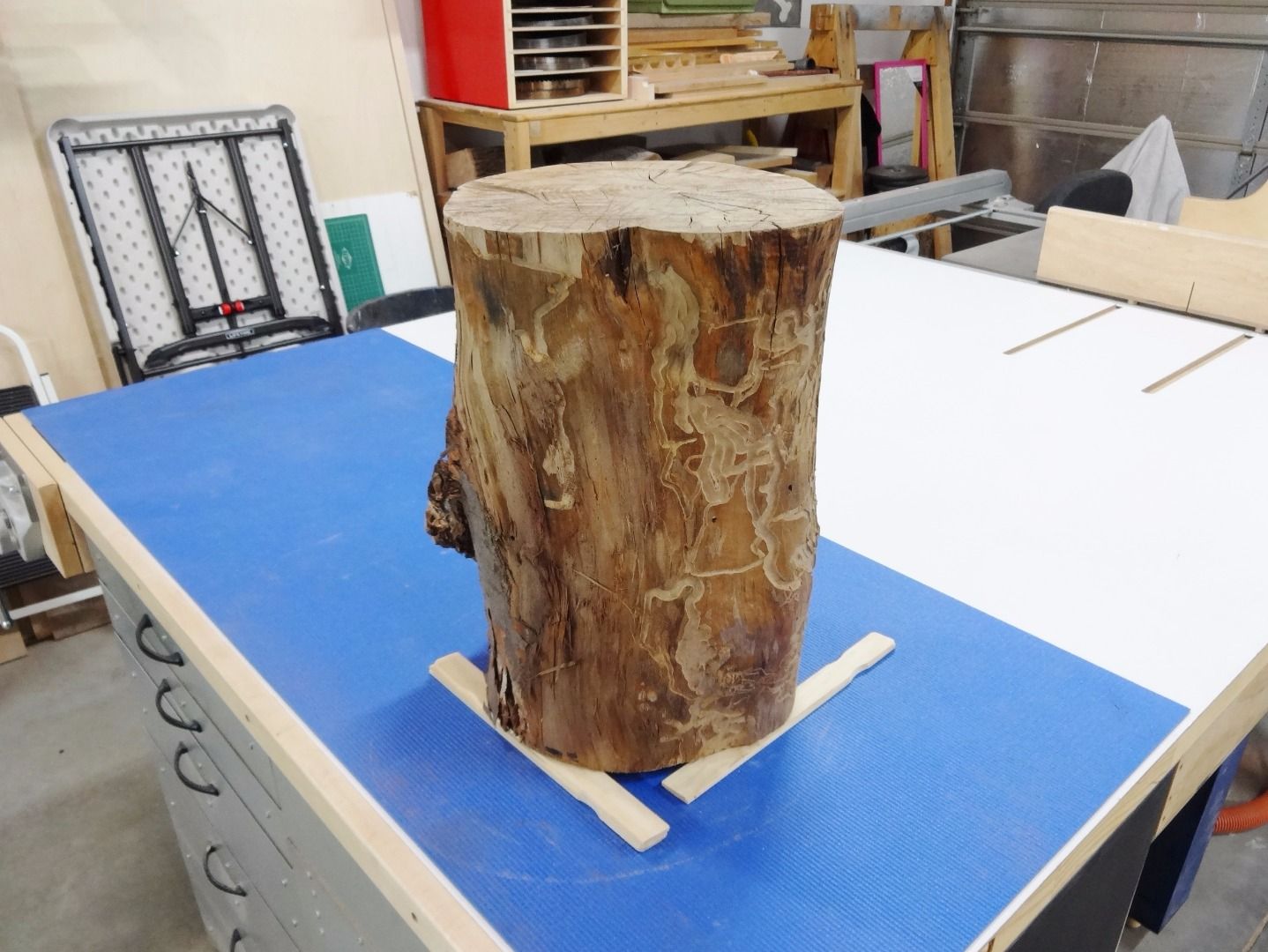 How to Make Log Ends Perfectly Flat & Parallel : 8 Steps (with Pictures ...