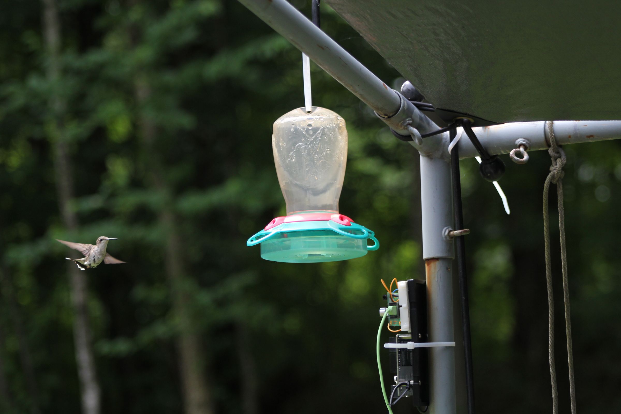 Hummingbird Detector/Picture-Taker : 12 Steps (with Pictures ...
