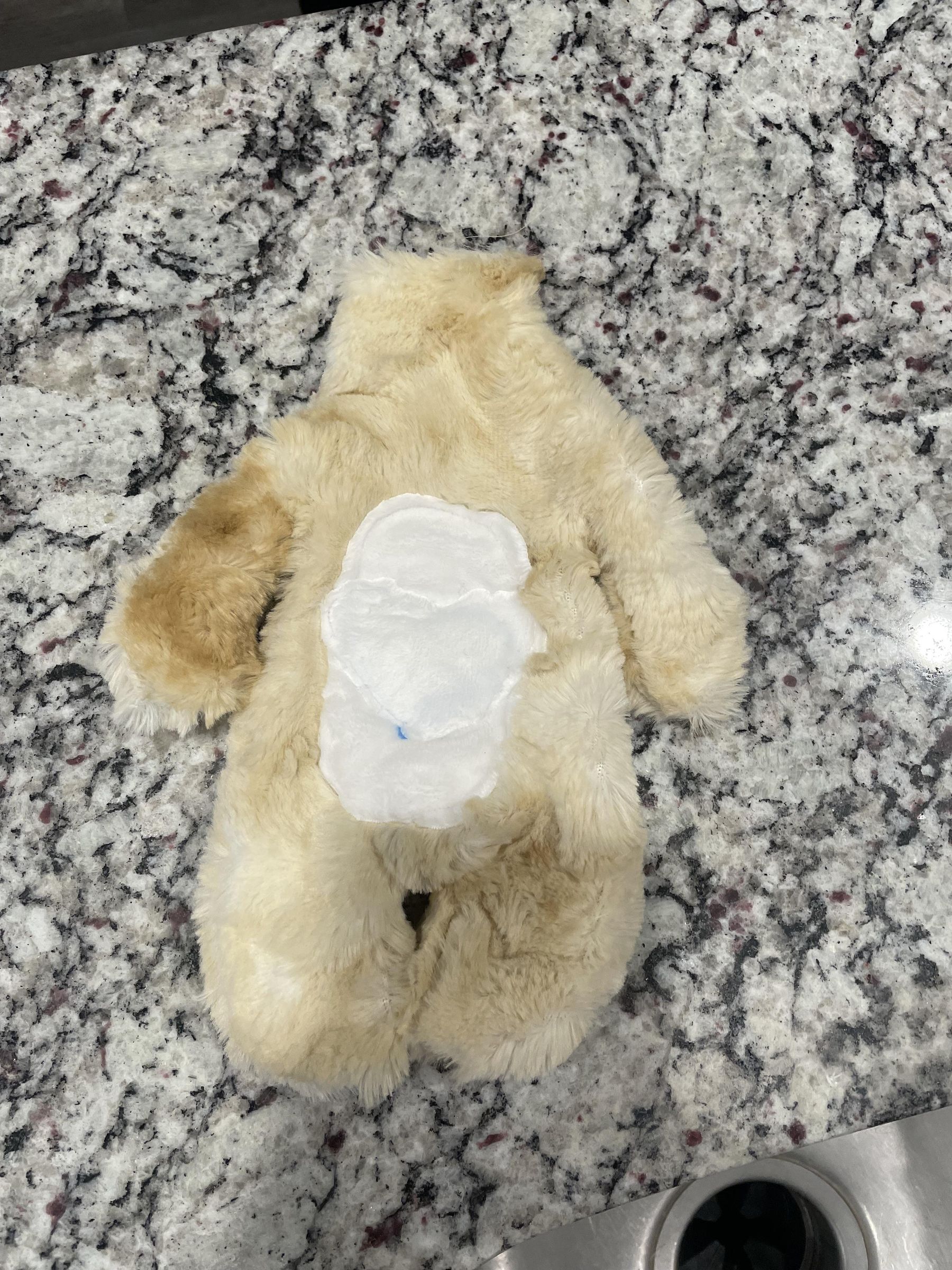 Sensory Bear 🧸 : 15 Steps (with Pictures) - Instructables