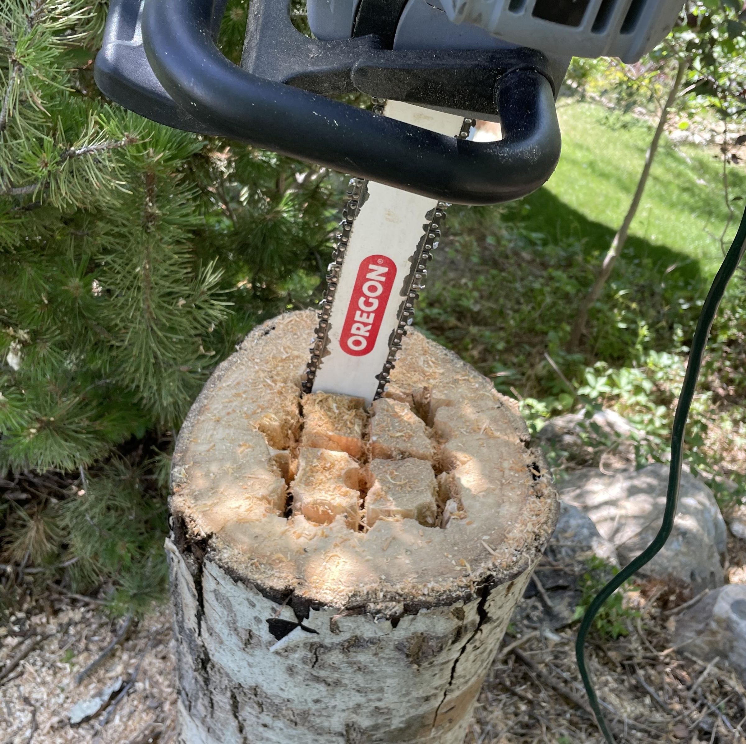 Transform a Tree Stump Into a Planter Box : 11 Steps (with Pictures ...