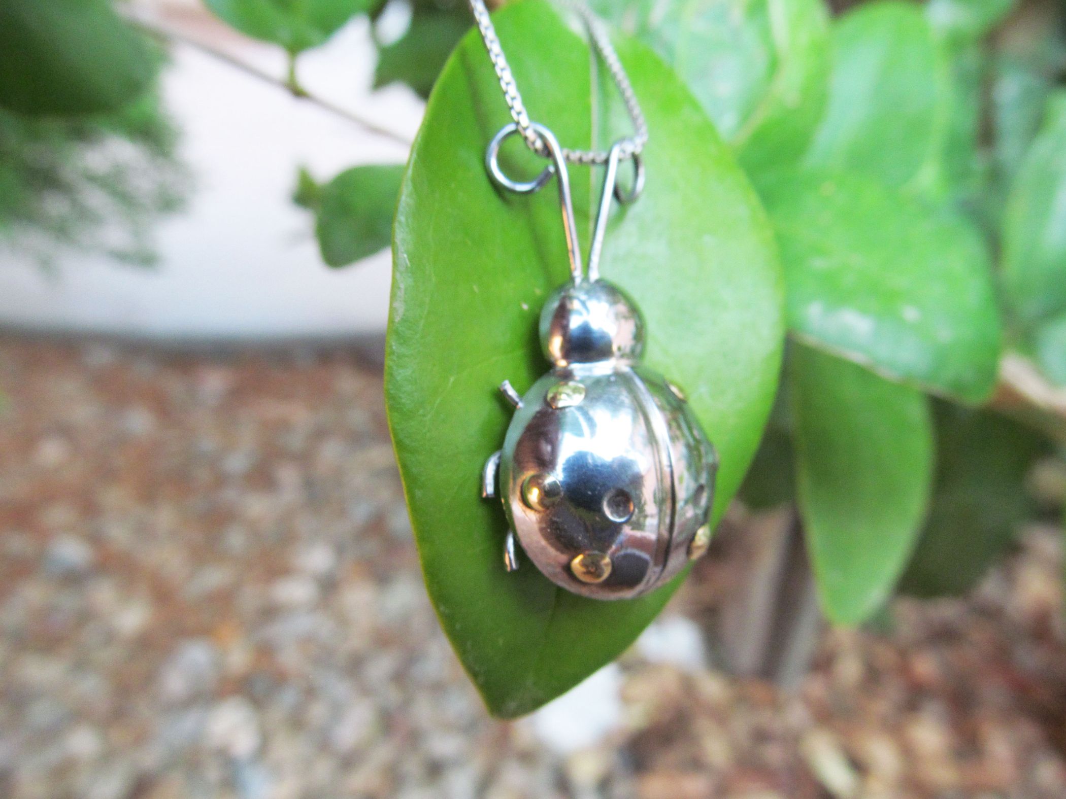 Ladybug Pendant : 5 Steps (with Pictures) - Instructables