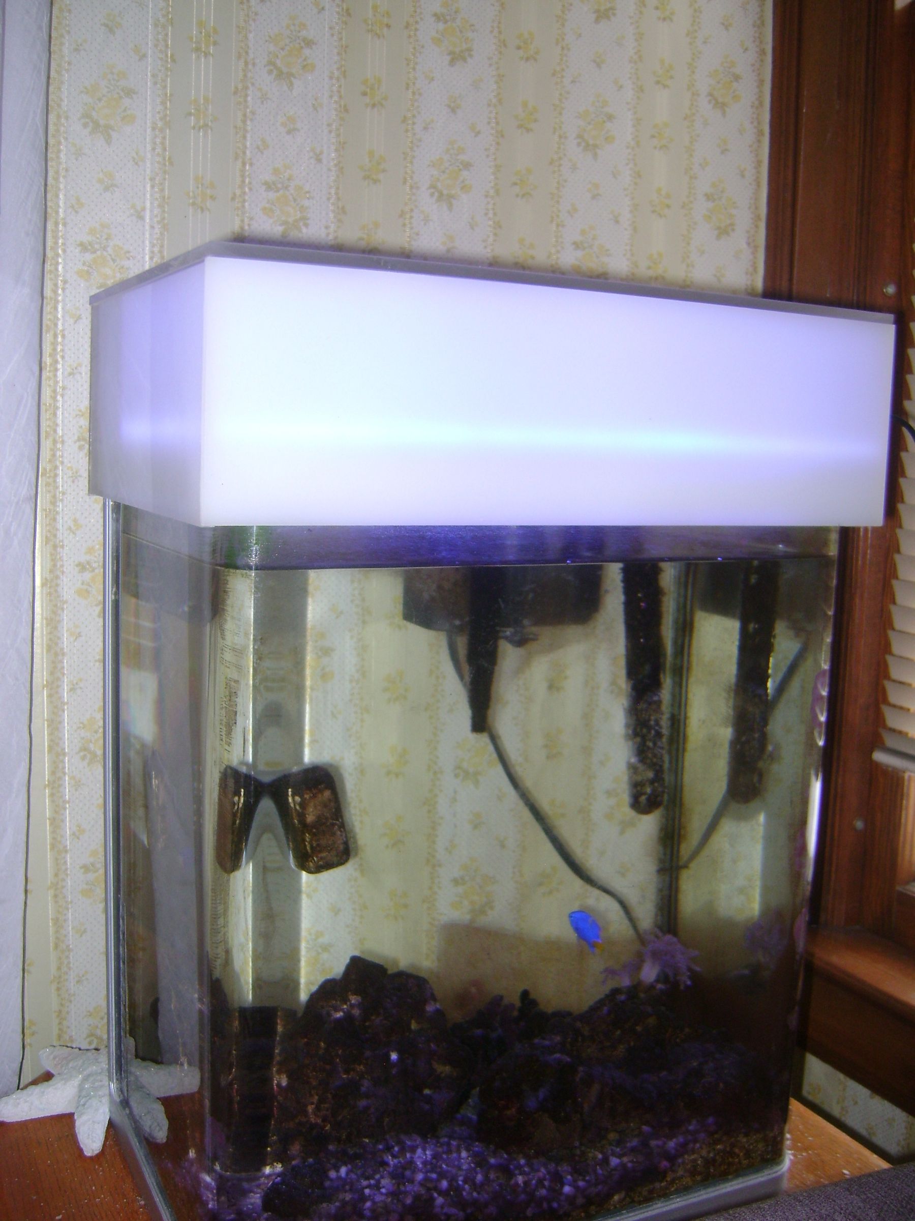 LED Fish Tank Light : 5 Steps - Instructables