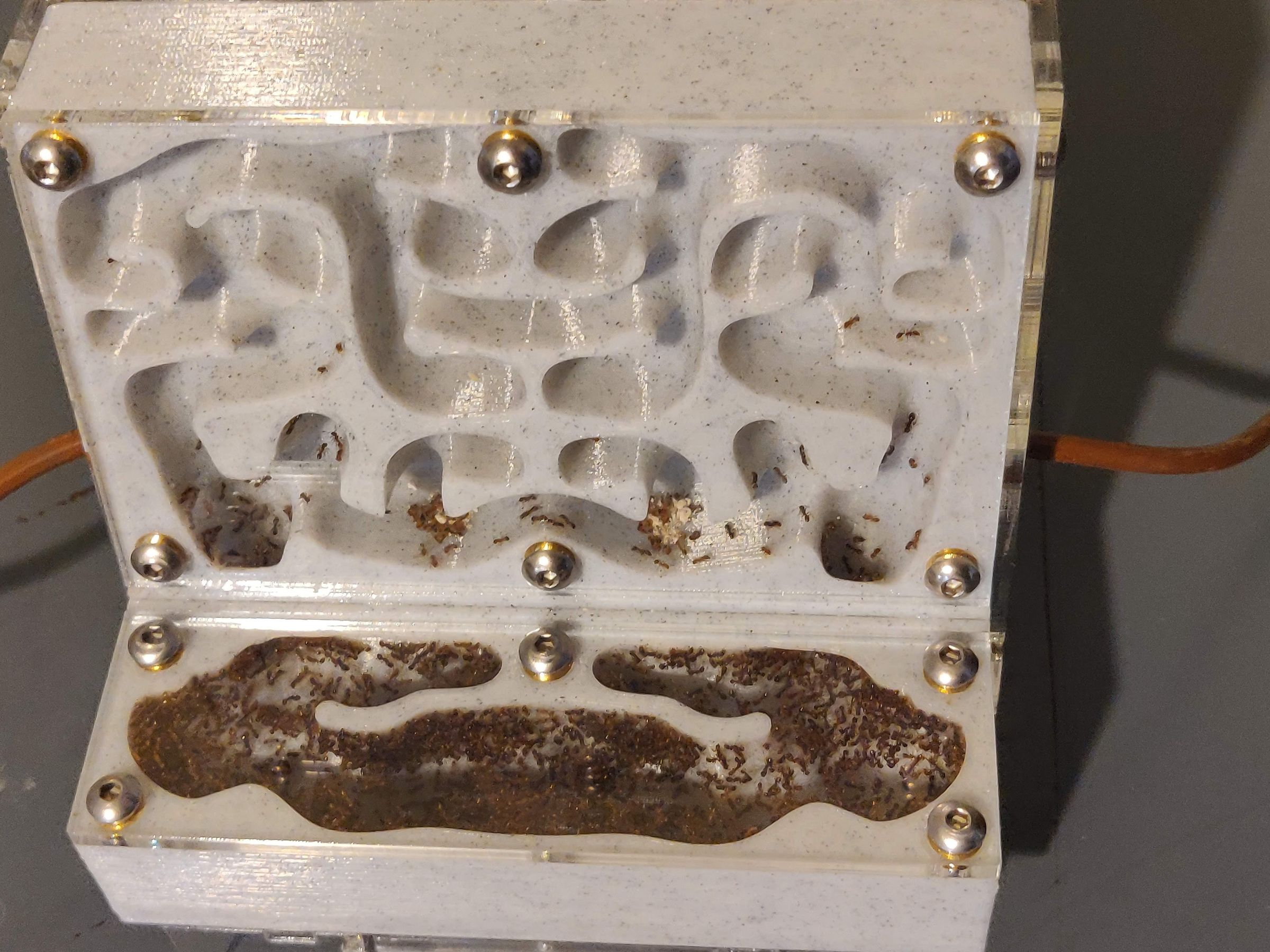 Medium Modular Formicarium (Ant Farm) : 18 Steps (with Pictures ...