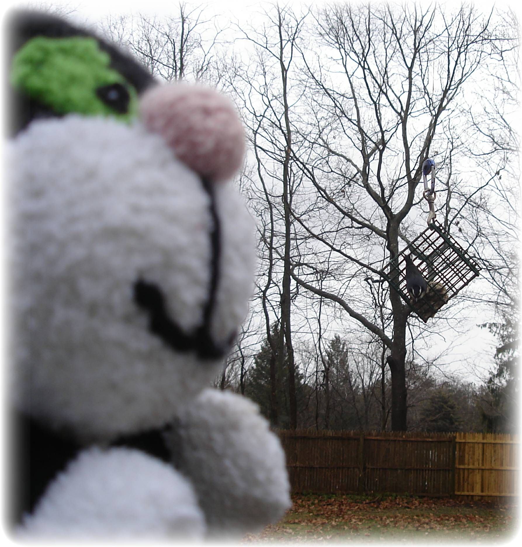 Jess the Cat - Instructables