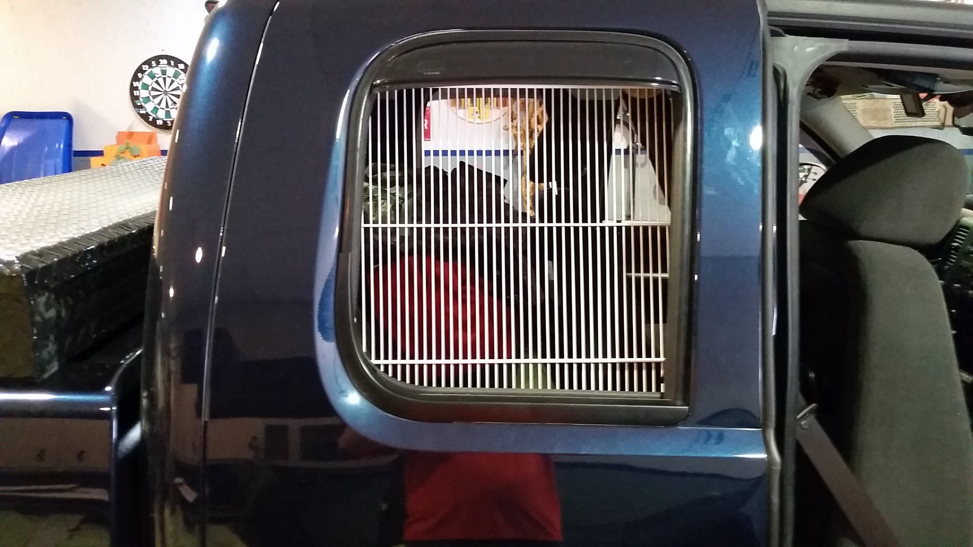 Window Grates (Automotive) : 5 Steps - Instructables