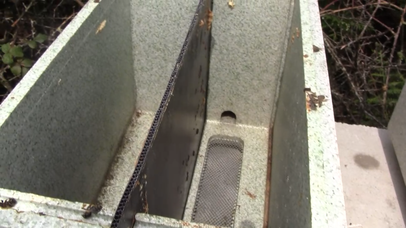 An Easy Way to Make a Nucleus of Honey Bees With Queen Cell Grafting ...