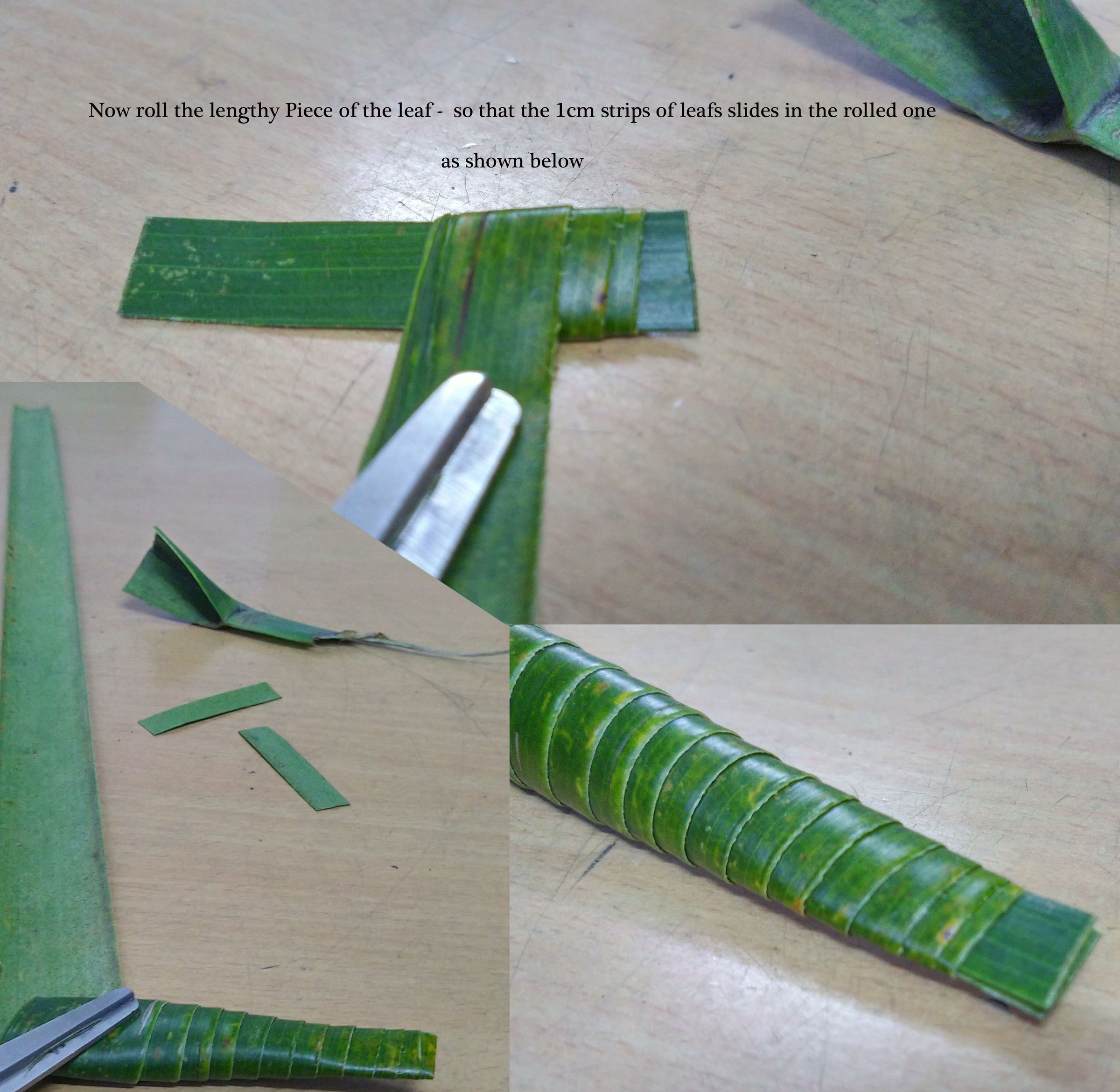 Coconut Leaf Whistle Instrument : 6 Steps - Instructables