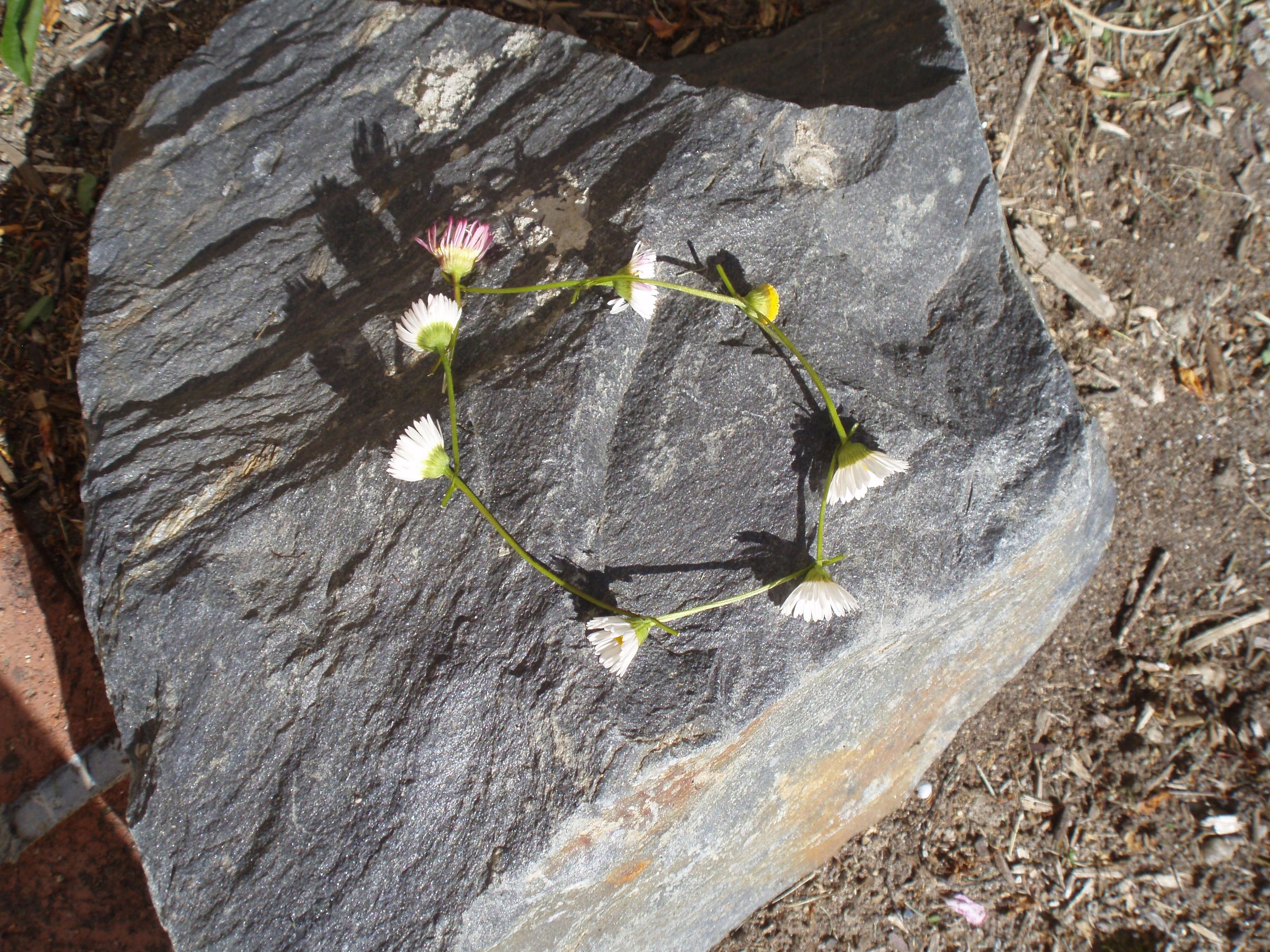 How to Make a Daisy Chain : 6 Steps - Instructables