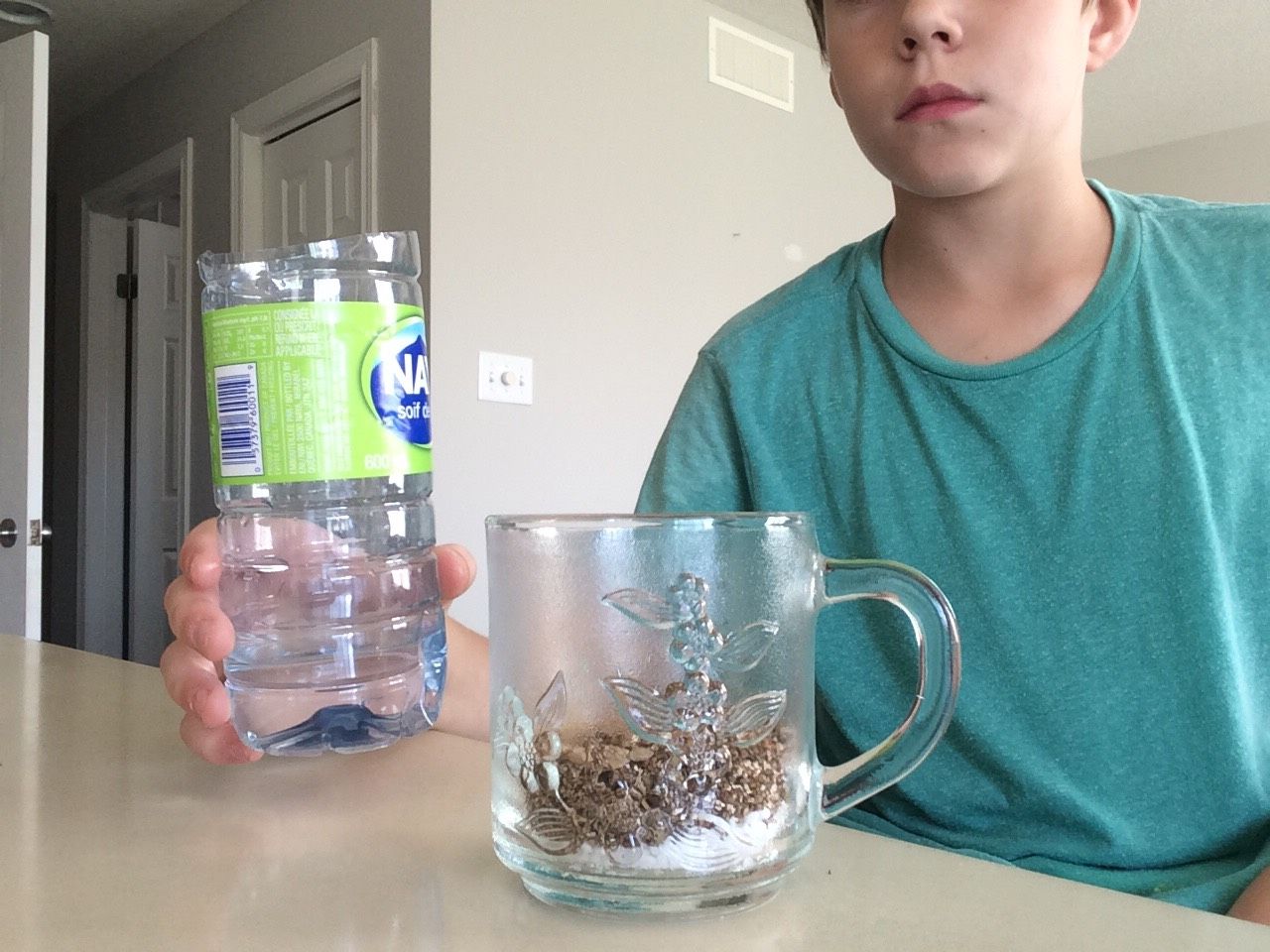 How to Grow Wheatgrass in a Cup : 5 Steps - Instructables