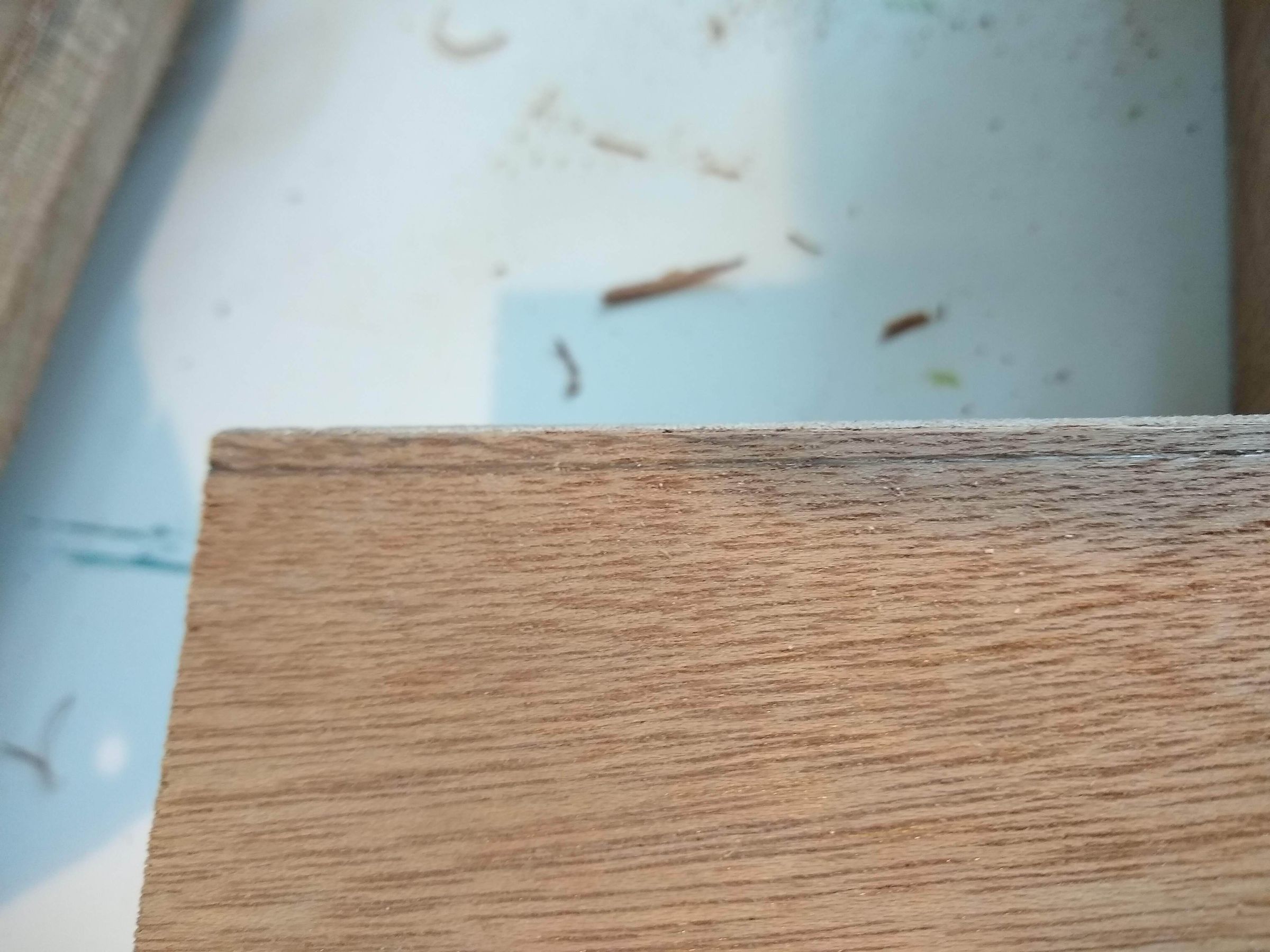 Modern Plywood Bench From One Sheet of Scrap! : 10 Steps (with Pictures ...