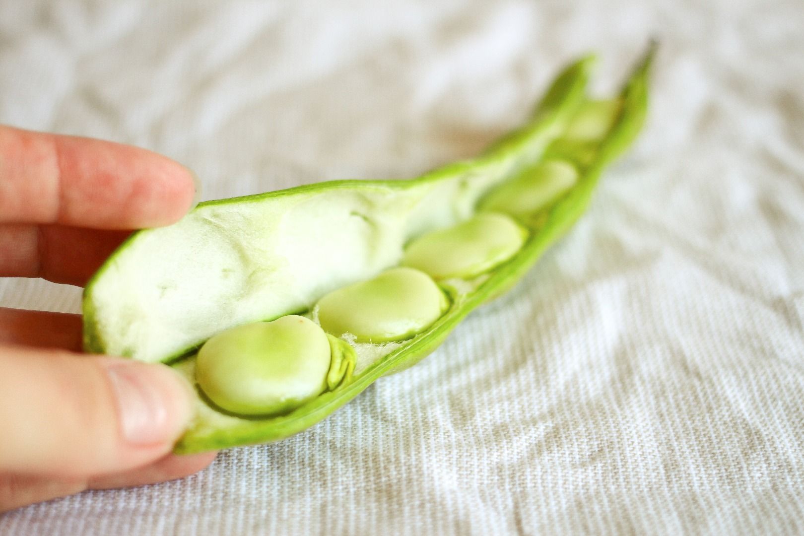 How to Cook Fava Beans : 5 Steps (with Pictures) - Instructables