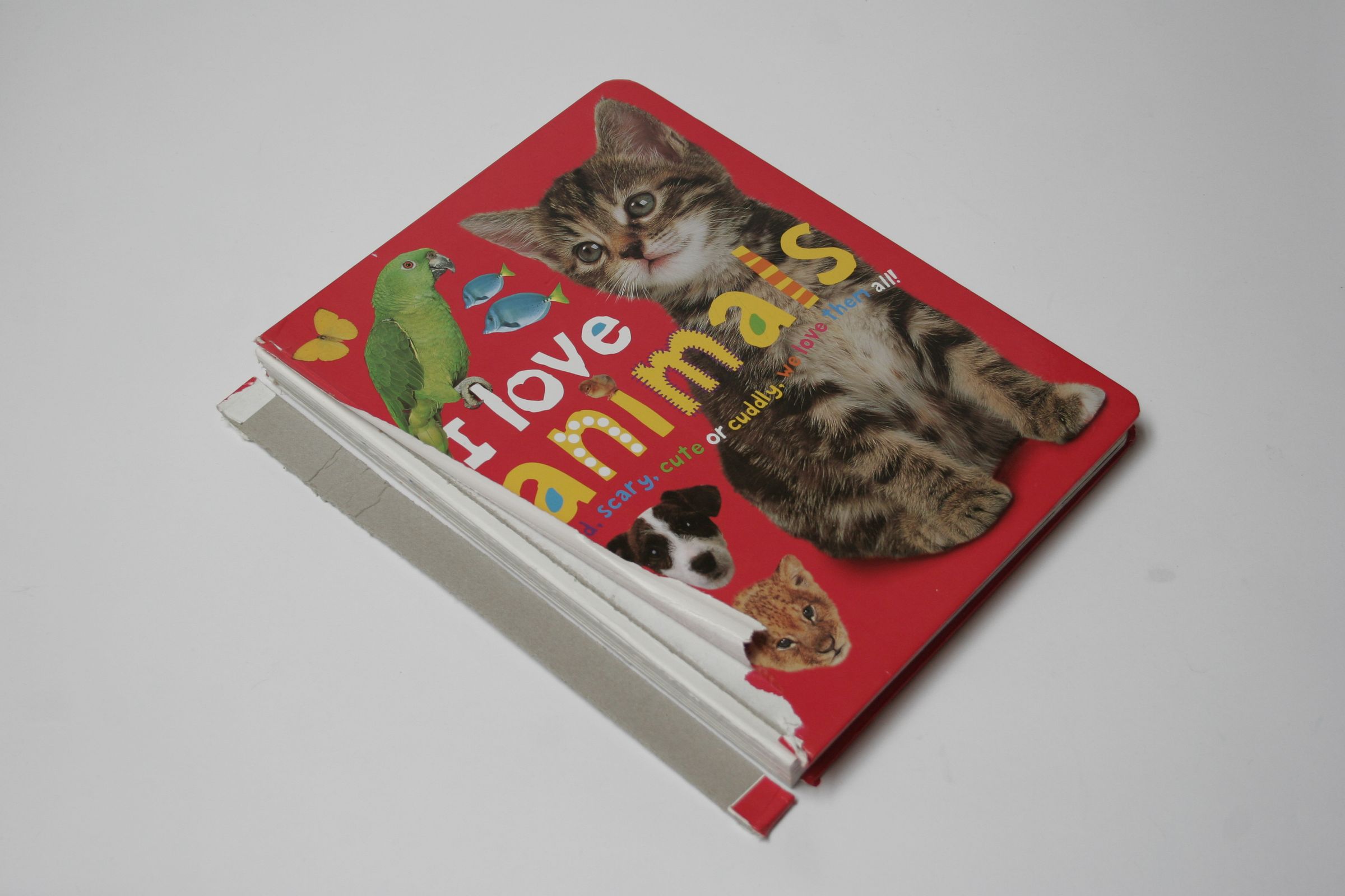 Simple Book Repair : 5 Steps (with Pictures) - Instructables