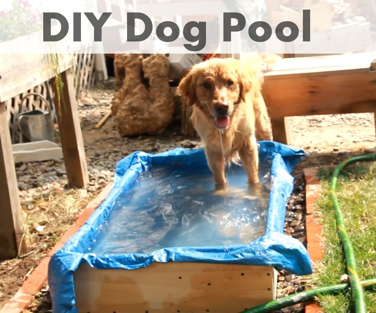 DIY Dog Pool : 5 Steps (with Pictures) - Instructables