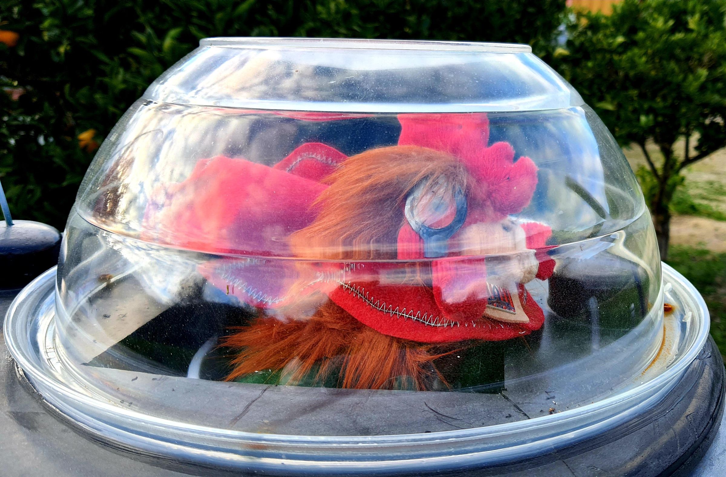 Space Chicken Spaceship Chicken Coop : 13 Steps (with Pictures ...