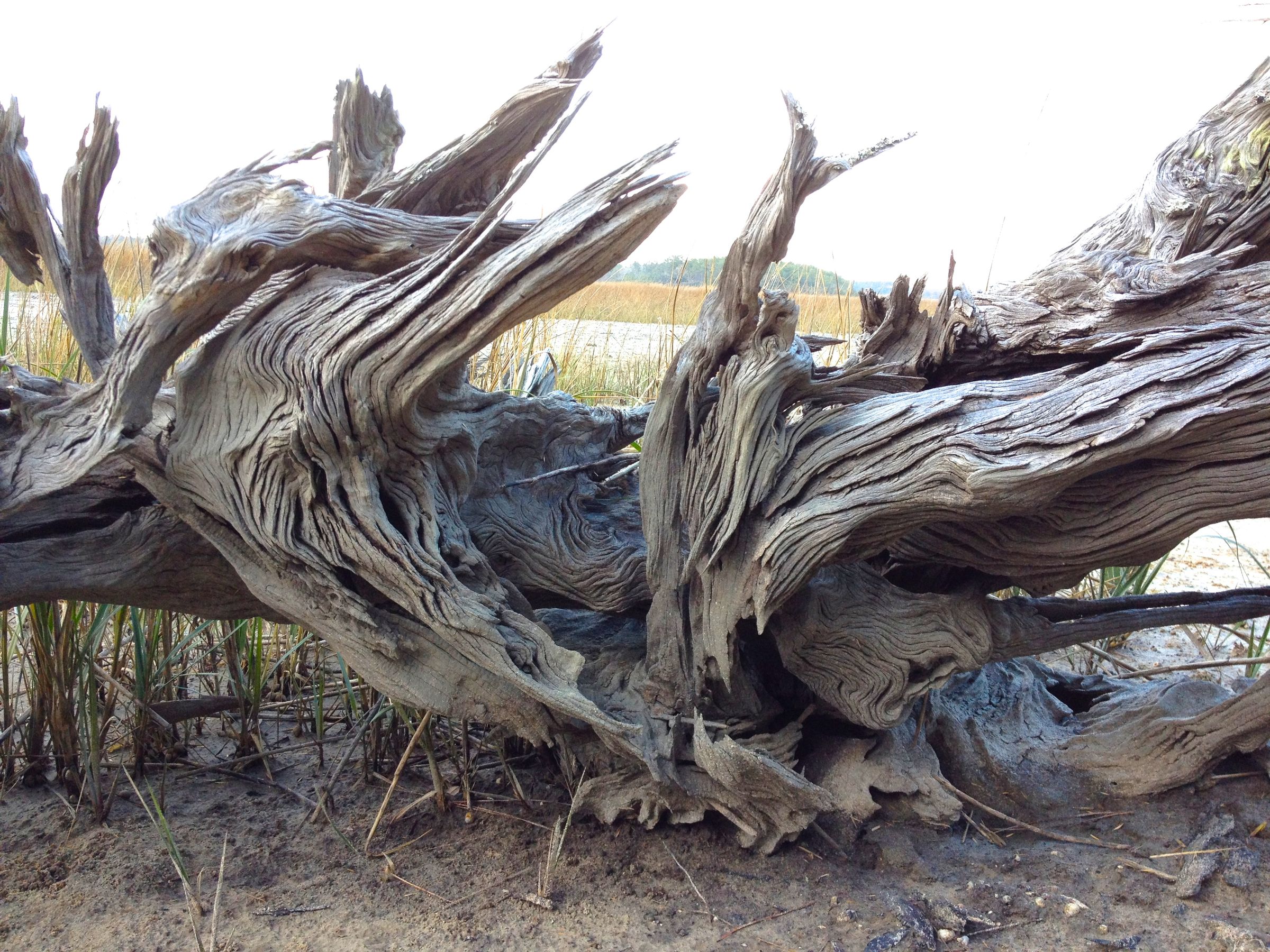 Dyeing Wood : 9 Steps (with Pictures) - Instructables