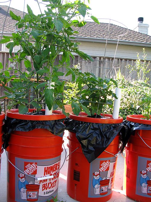 The Dearthbox: a Low-cost, Self-watering Planter : 7 Steps (with ...