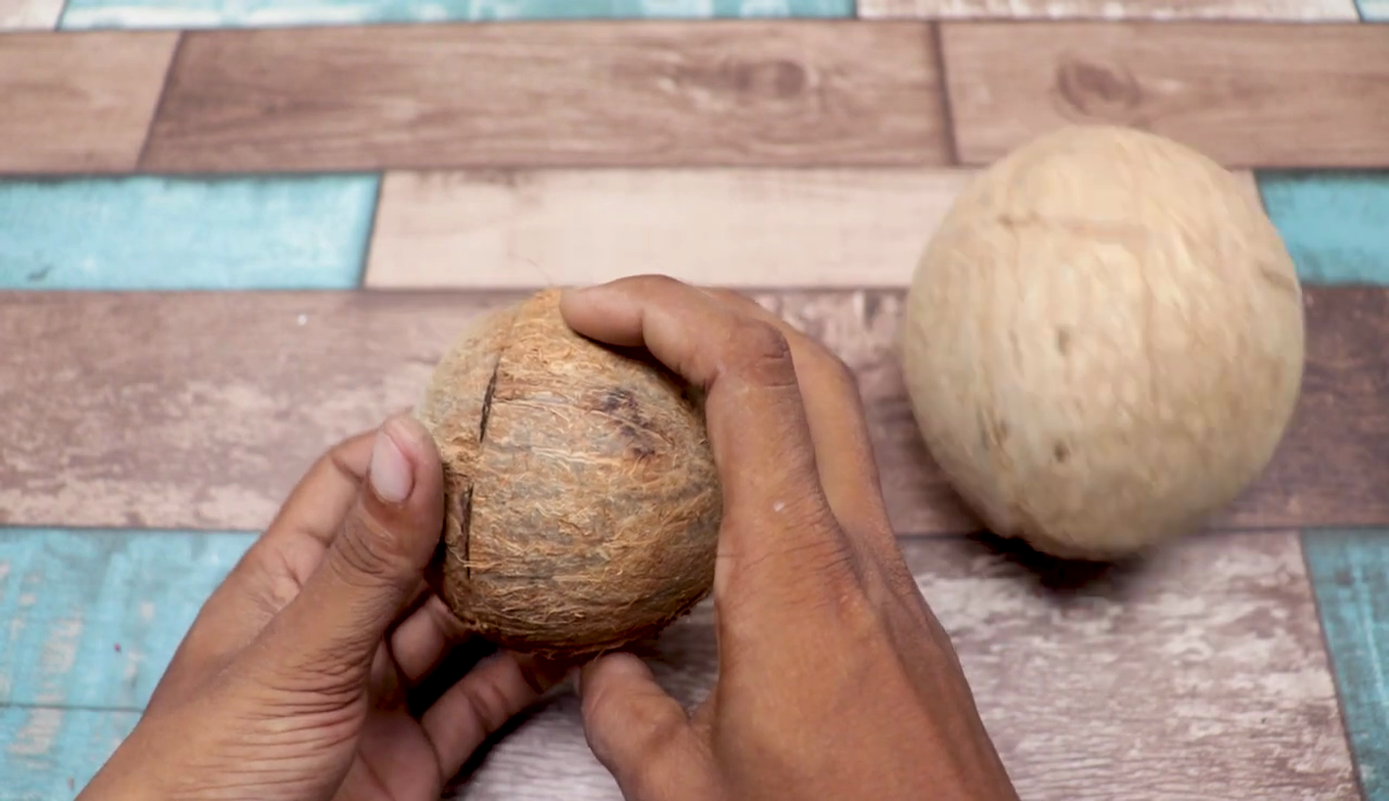 How to Make Powerful Bluetooth Speakers Using Coconut Shell : 8 Steps ...