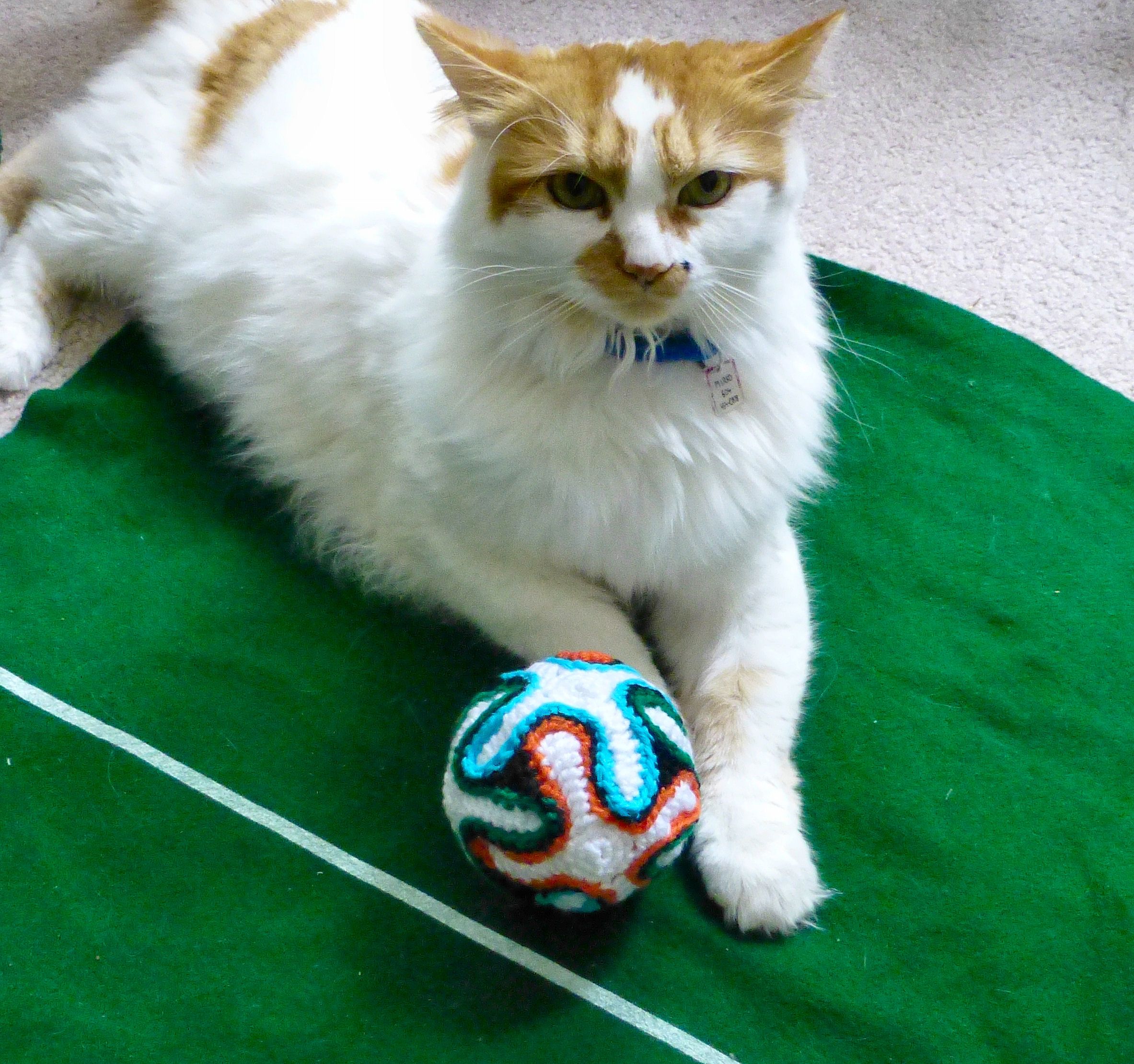2014 World Cup Mini Match Ball : 6 Steps (with Pictures) - Instructables
