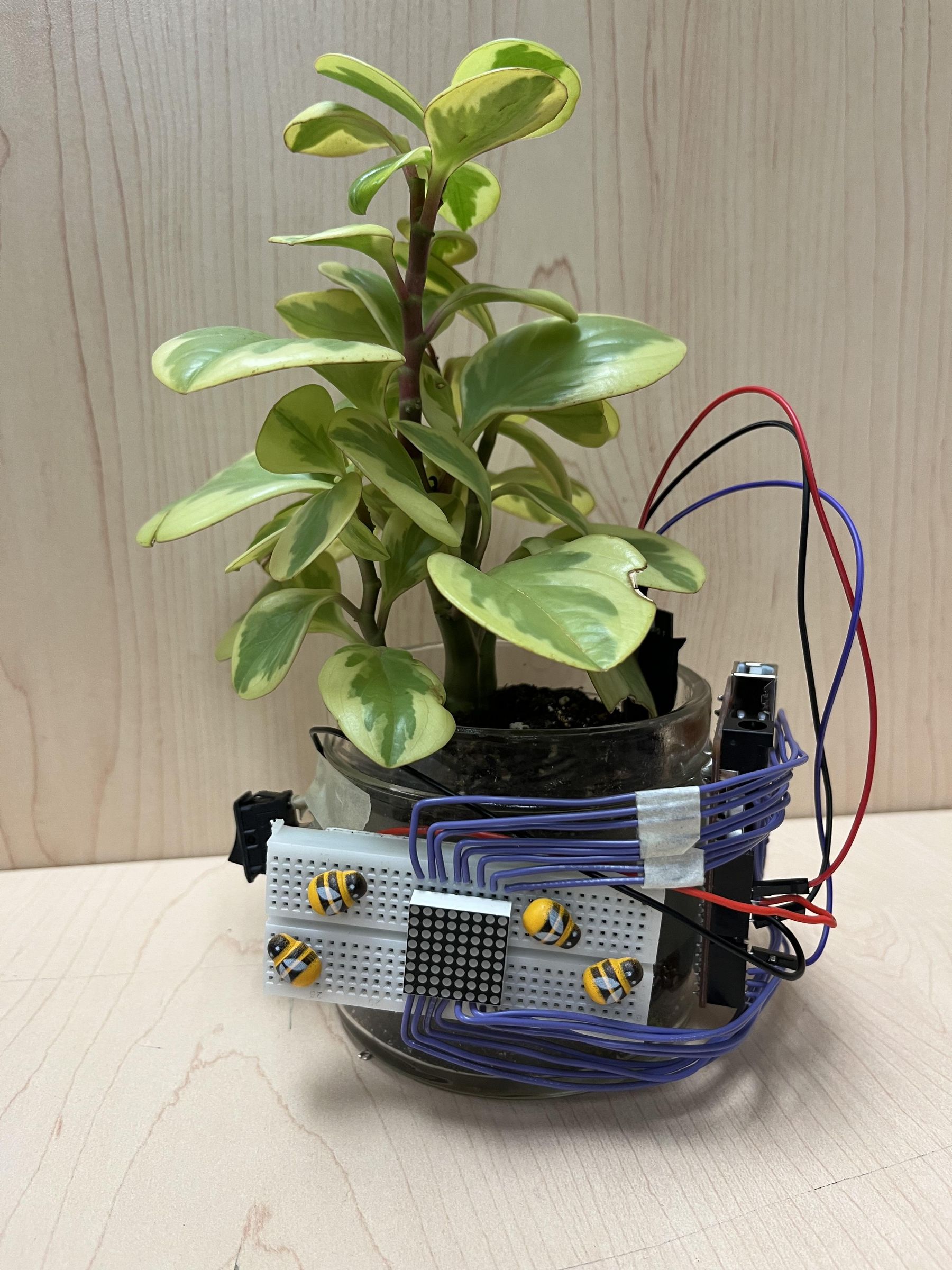 Plant Watering Detector : 5 Steps - Instructables