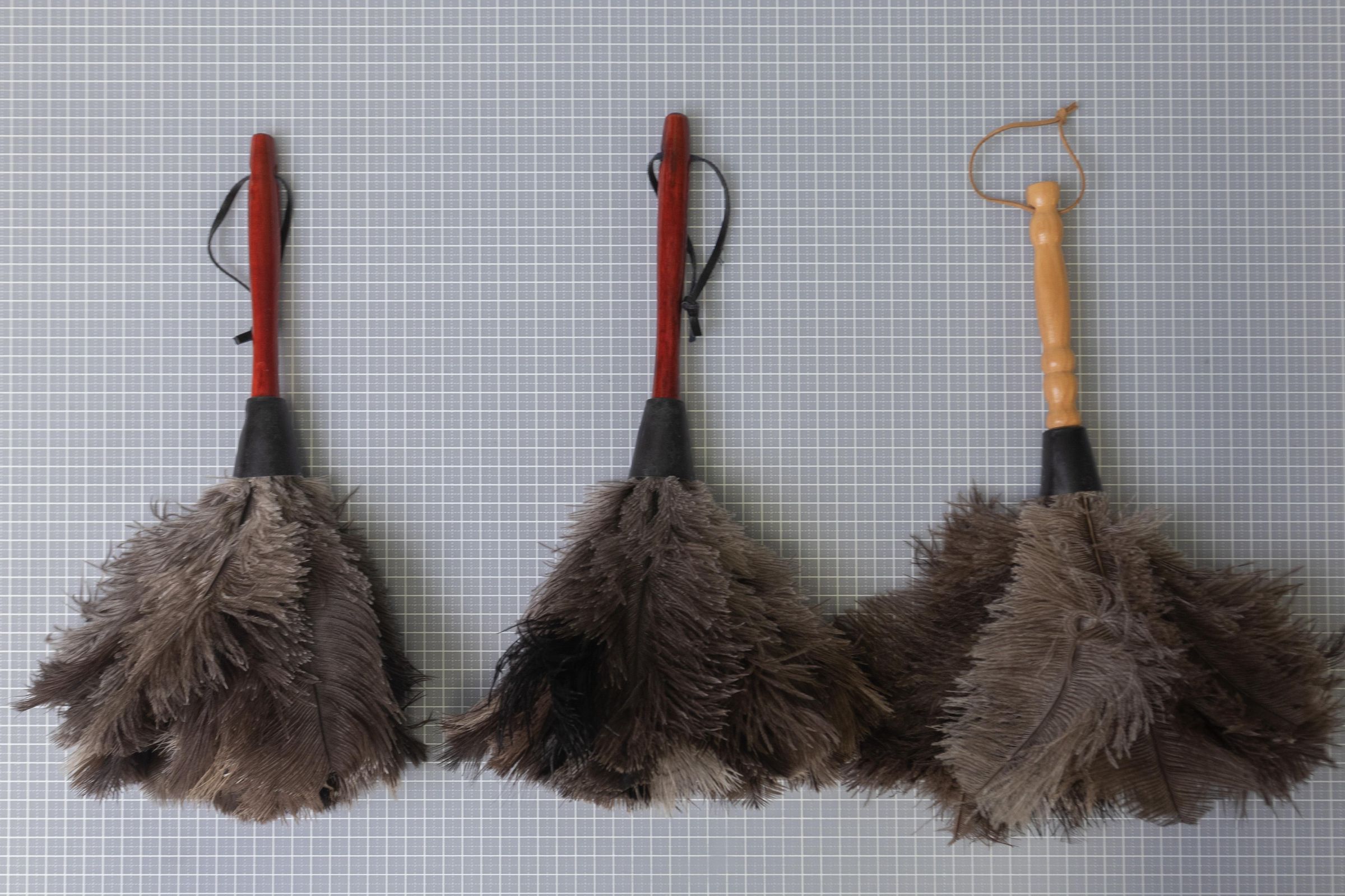 Beauty and the Beast Feather Duster : 13 Steps (with Pictures ...