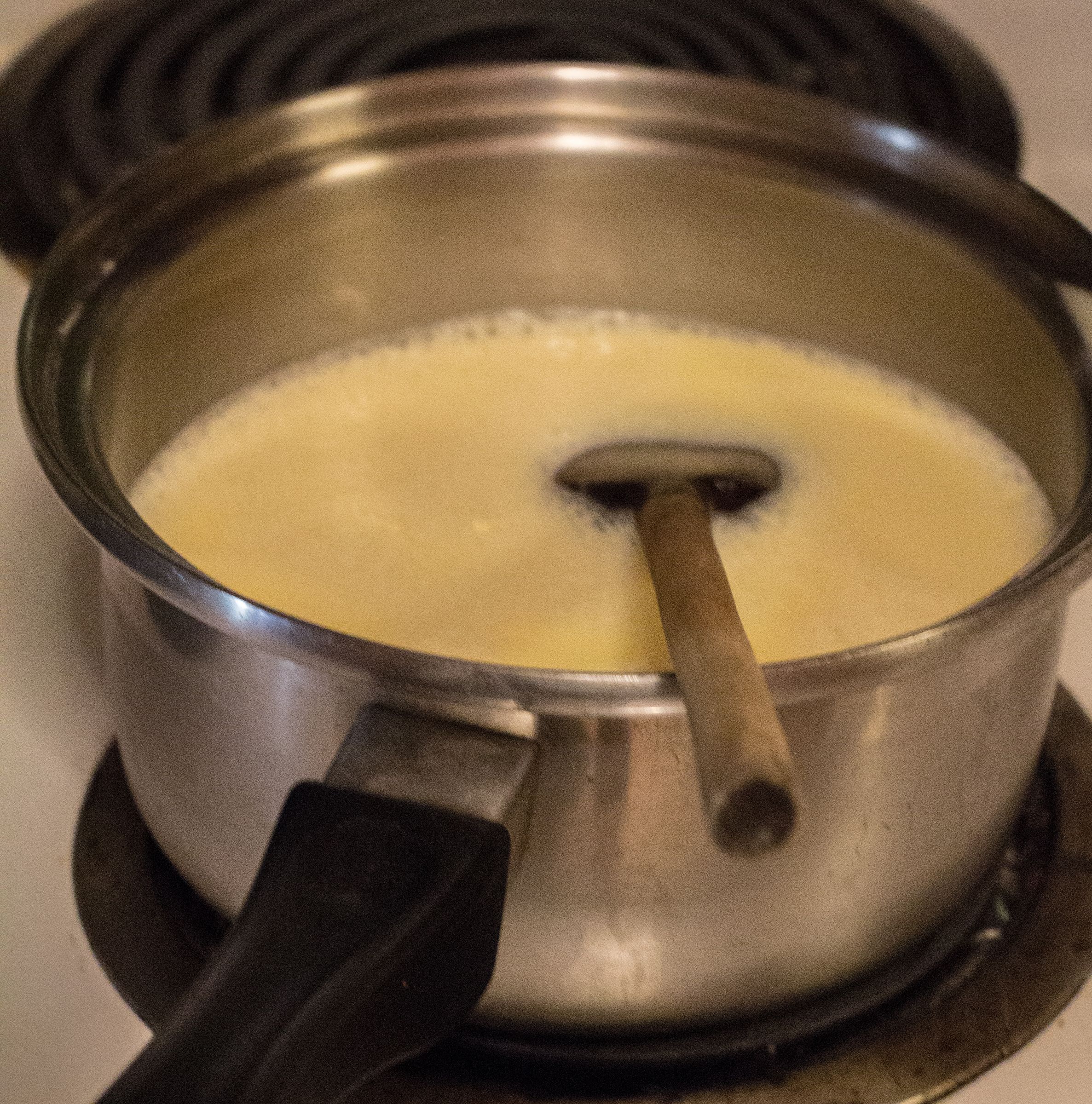 Let's Make a Picnic Perfect Nanner Puddin (Banana Pudding) : 5 Steps ...