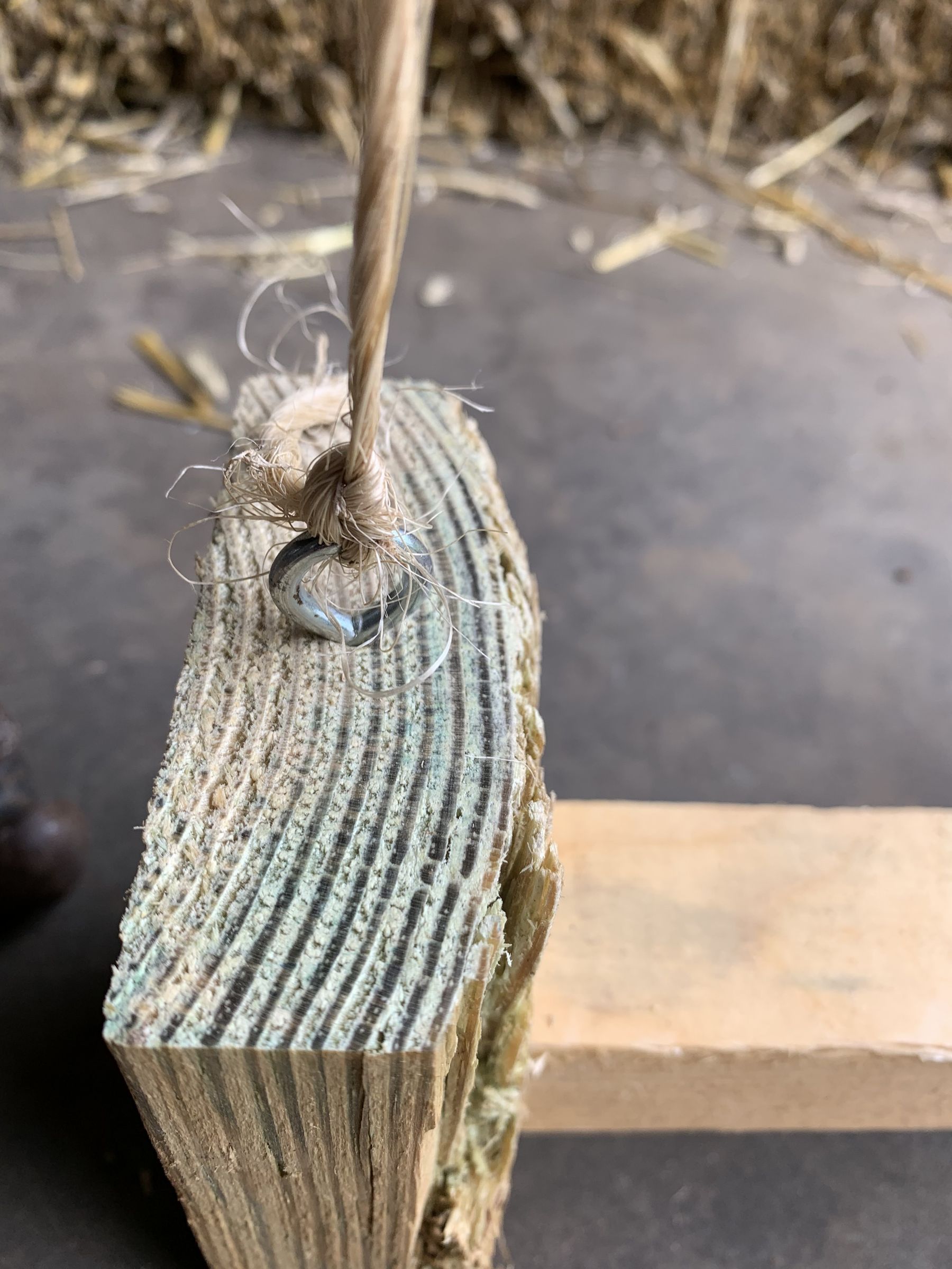 Chicken Playground : 20 Steps (with Pictures) - Instructables