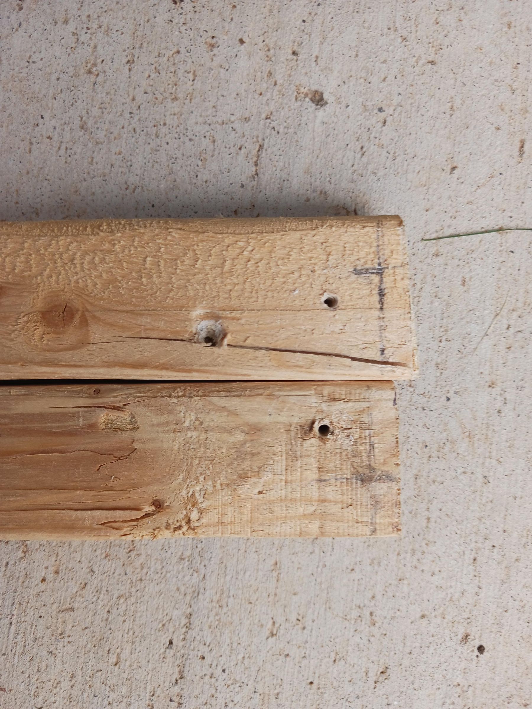 Squirrel / Bird Picnic Table : 12 Steps (with Pictures) - Instructables