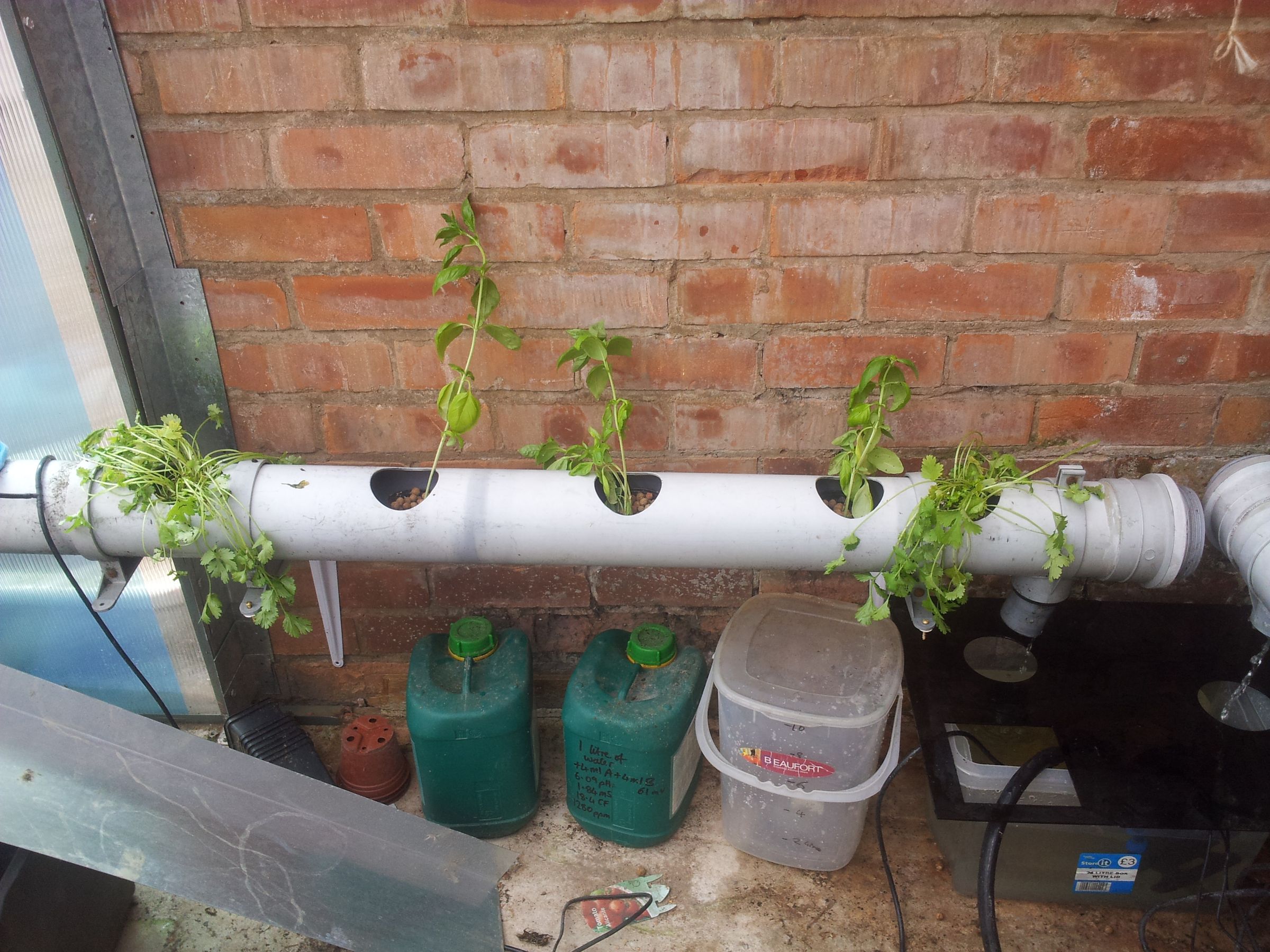 How to Setup and Run a Hydroponics System : 7 Steps (with Pictures ...
