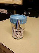 Seamen Sample - Instructables