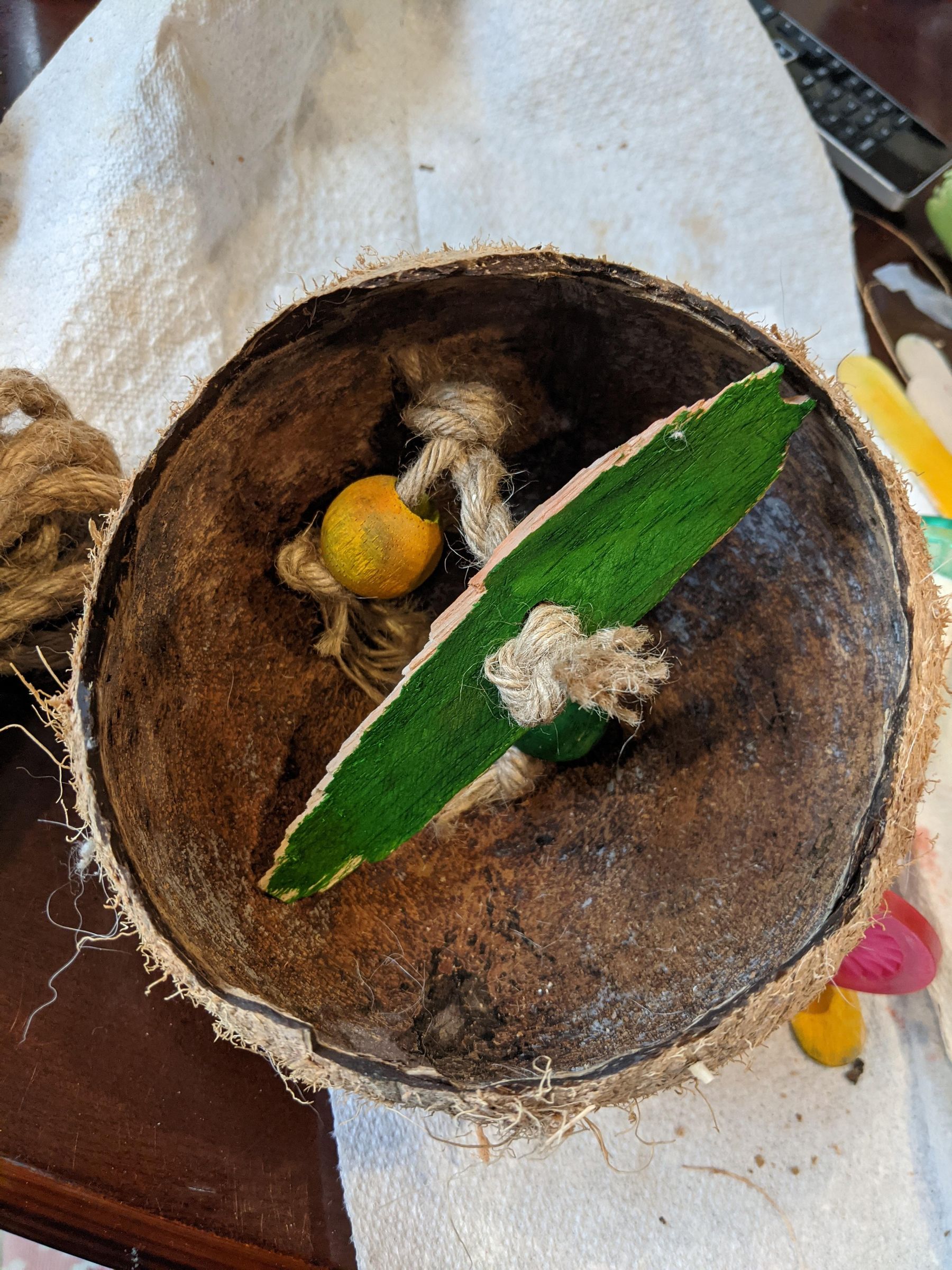 Coconut Bird Toy : 5 Steps - Instructables