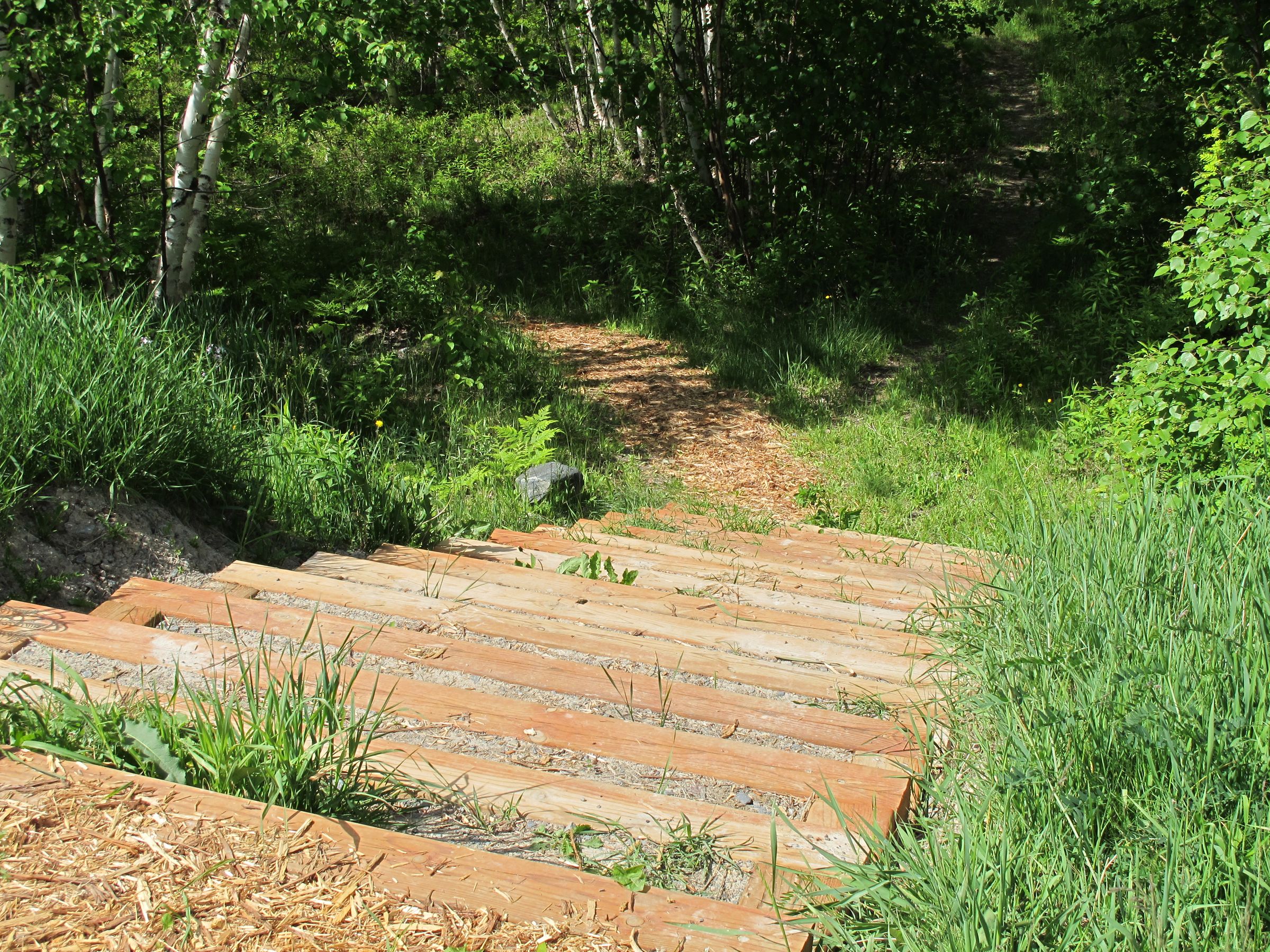 Outdoor Rustic Stairs : 3 Steps (with Pictures) - Instructables