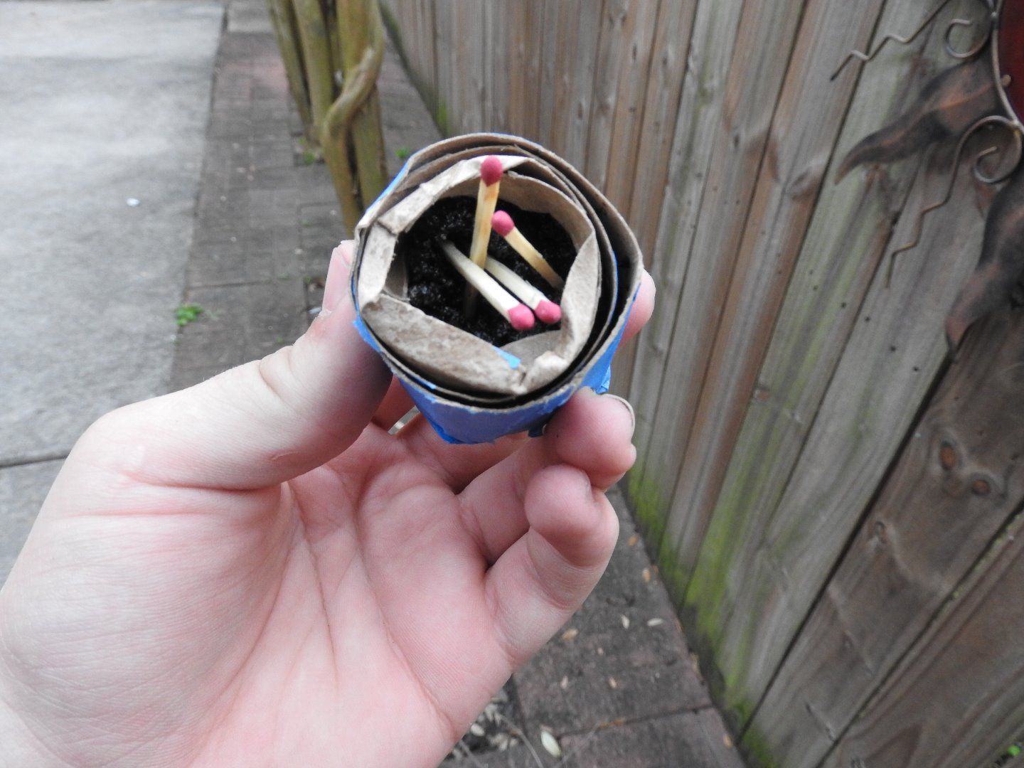Sap Fire Starter : 8 Steps (with Pictures) - Instructables