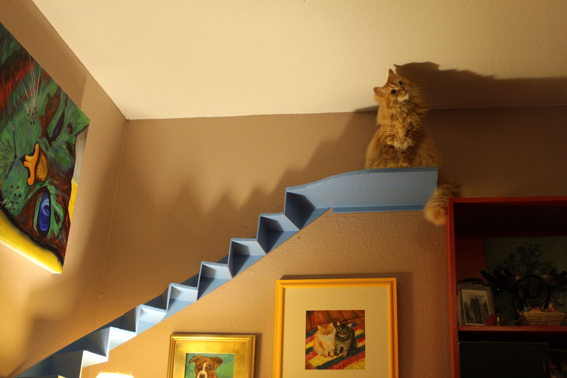 Curved Cat Stairs for Your Living Room : 4 Steps (with Pictures ...
